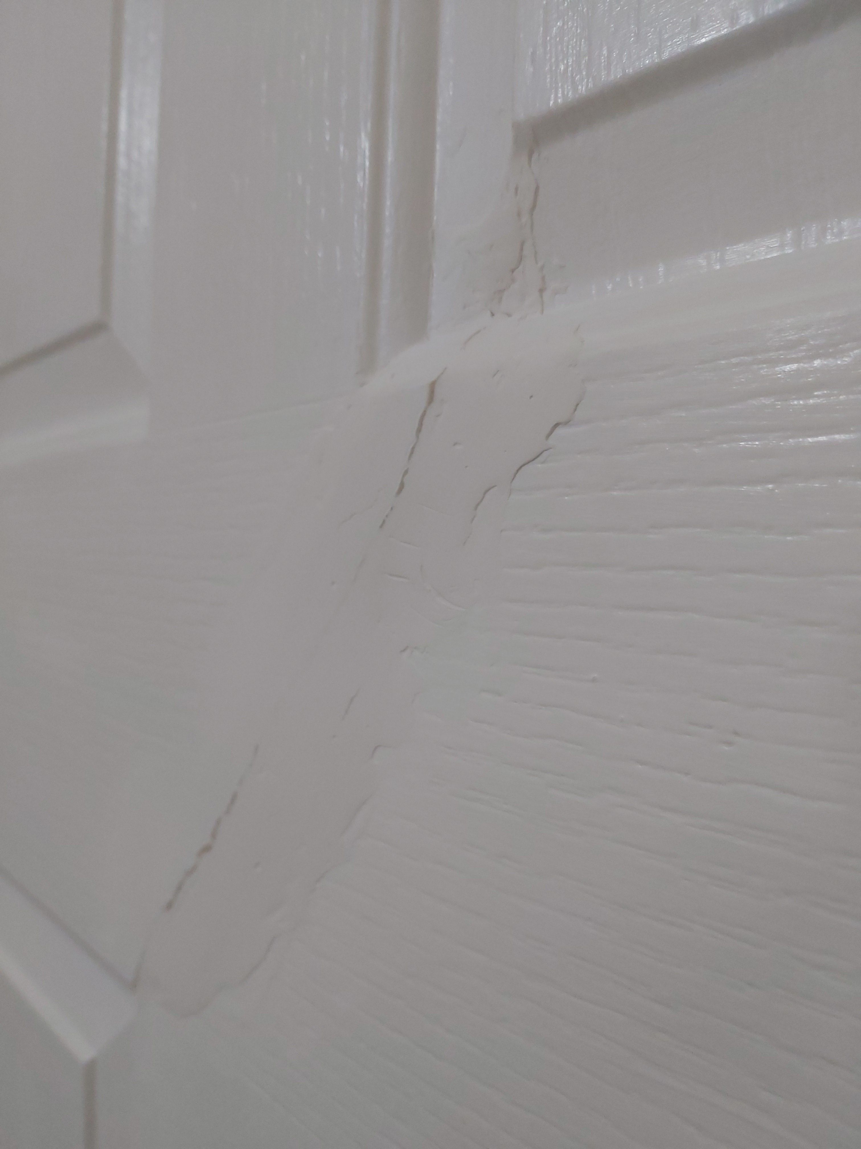 How to fix a big crack on bedroom wood d... - Page 2 | Bunnings ...