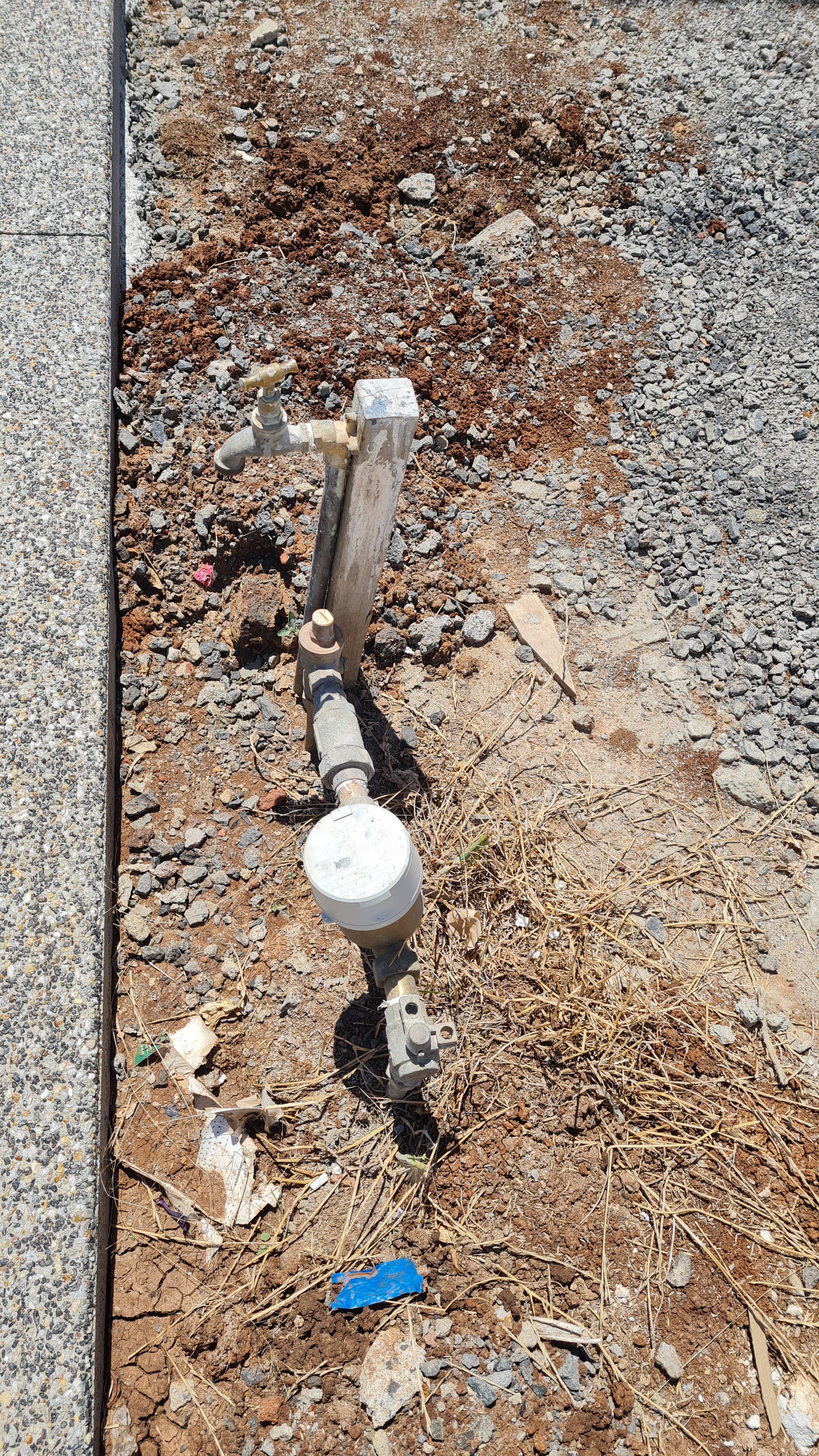 Solved: Looking for front yard landscaping guida... - Page 3 | Bunnings ...