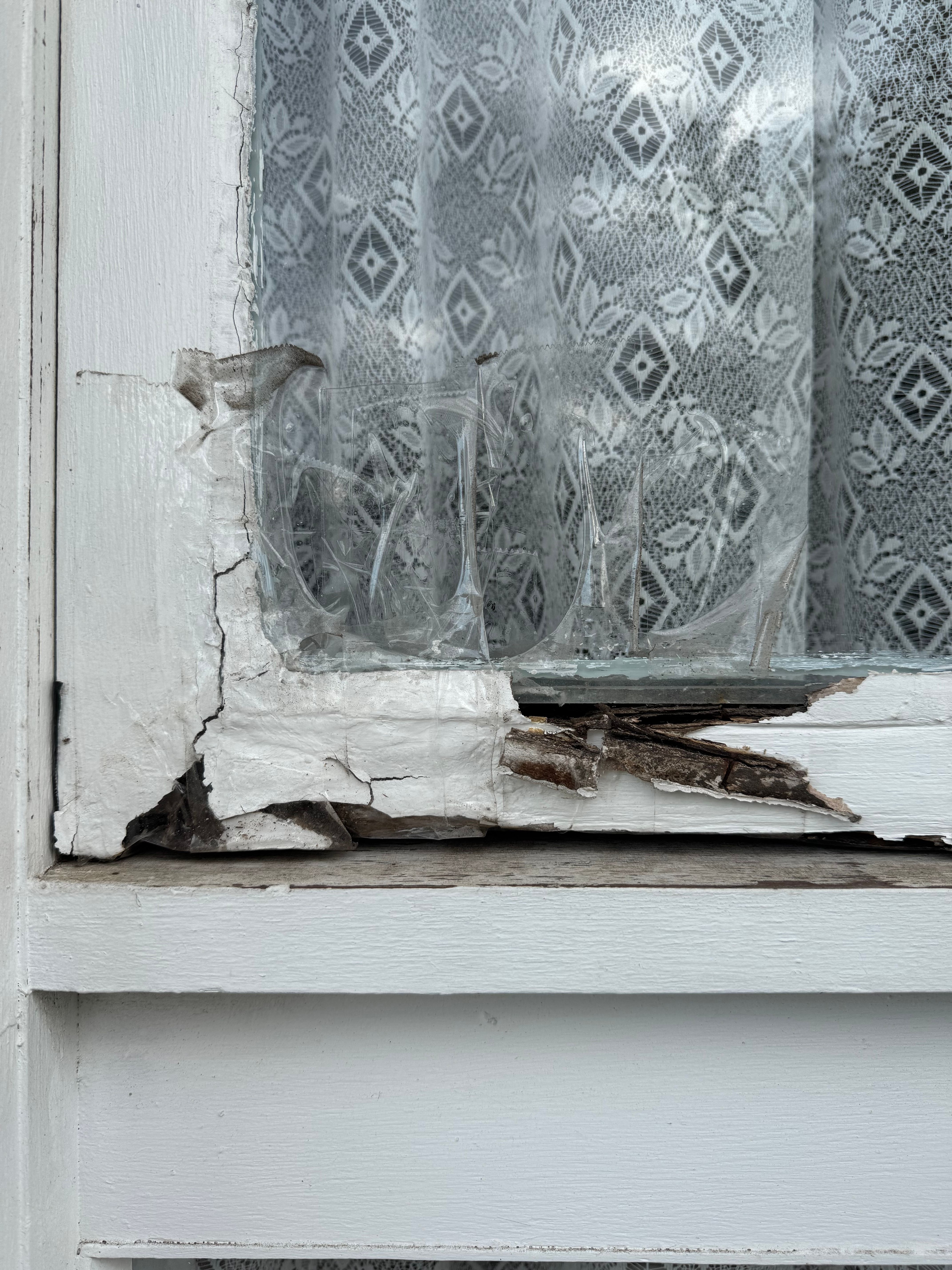 How to fix rotting wooden window frames? | Bunnings Workshop community