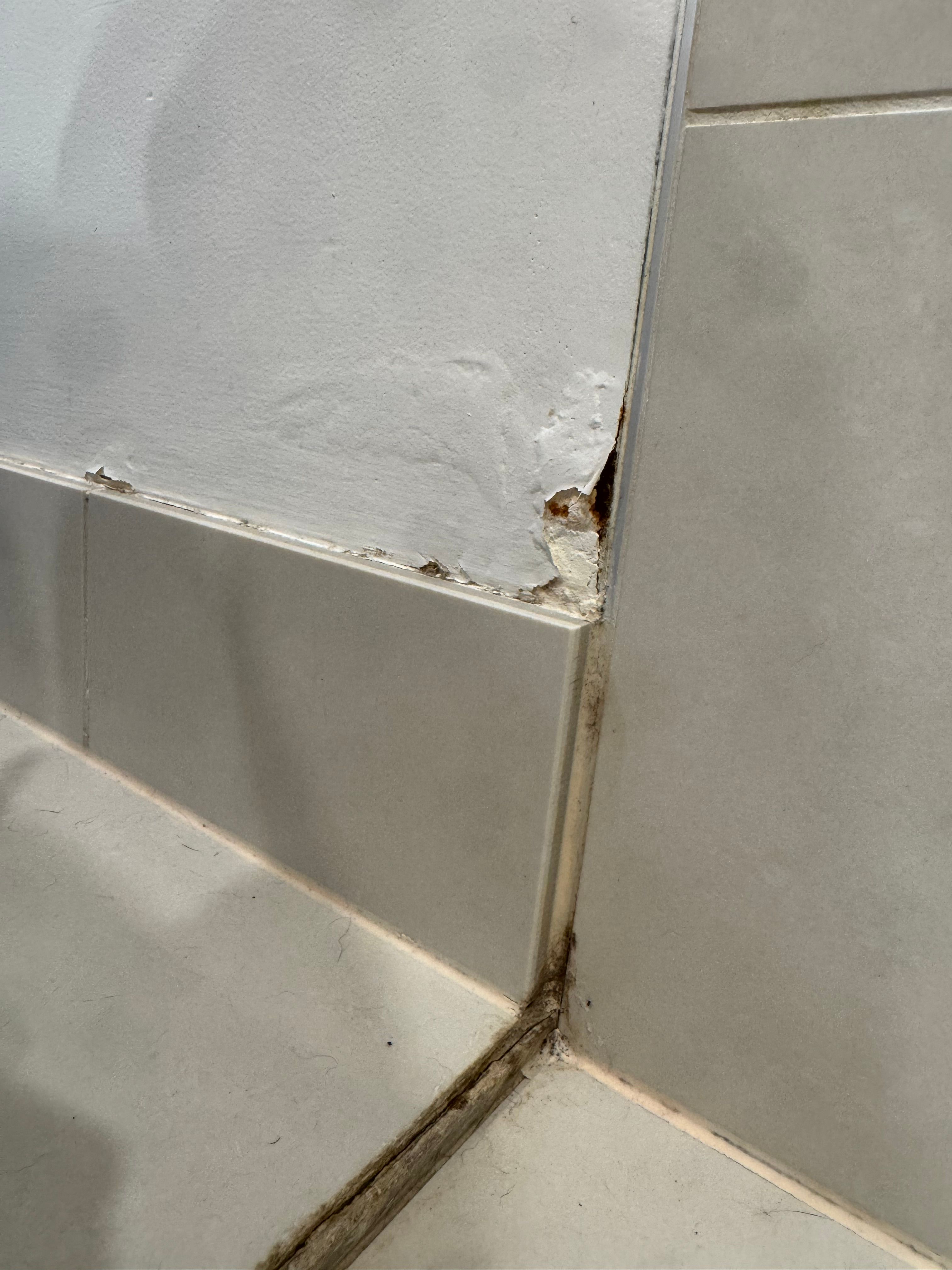 Solved: How to patch bathroom plasterboard wall? | Bunnings Workshop ...