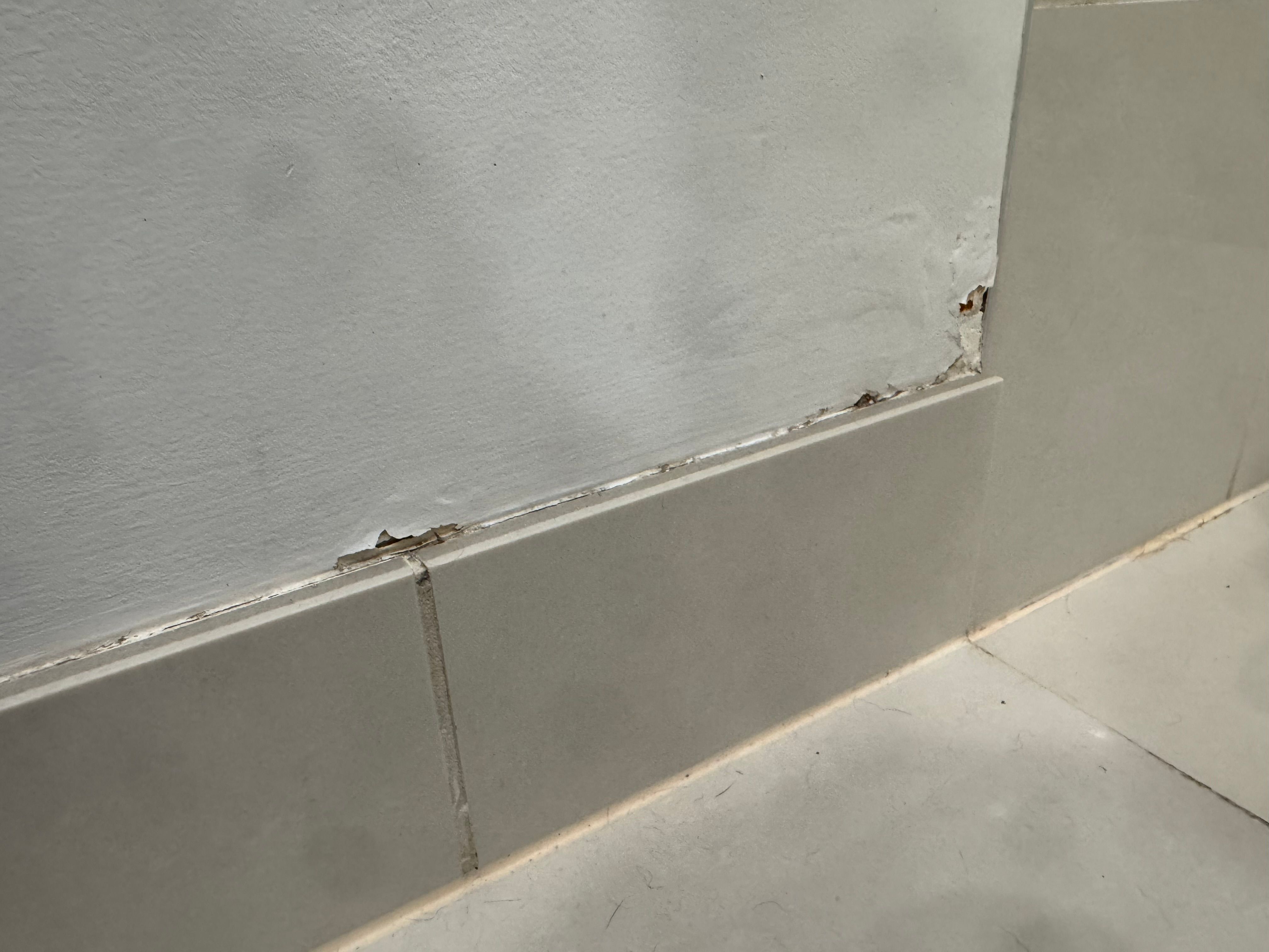 Solved: How to patch bathroom plasterboard wall? | Bunnings Workshop ...
