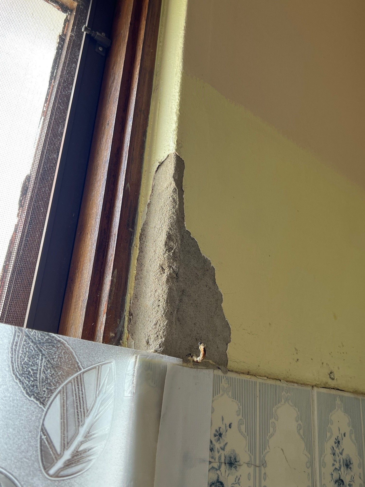 How to paint a sandy concrete surface? | Bunnings Workshop community