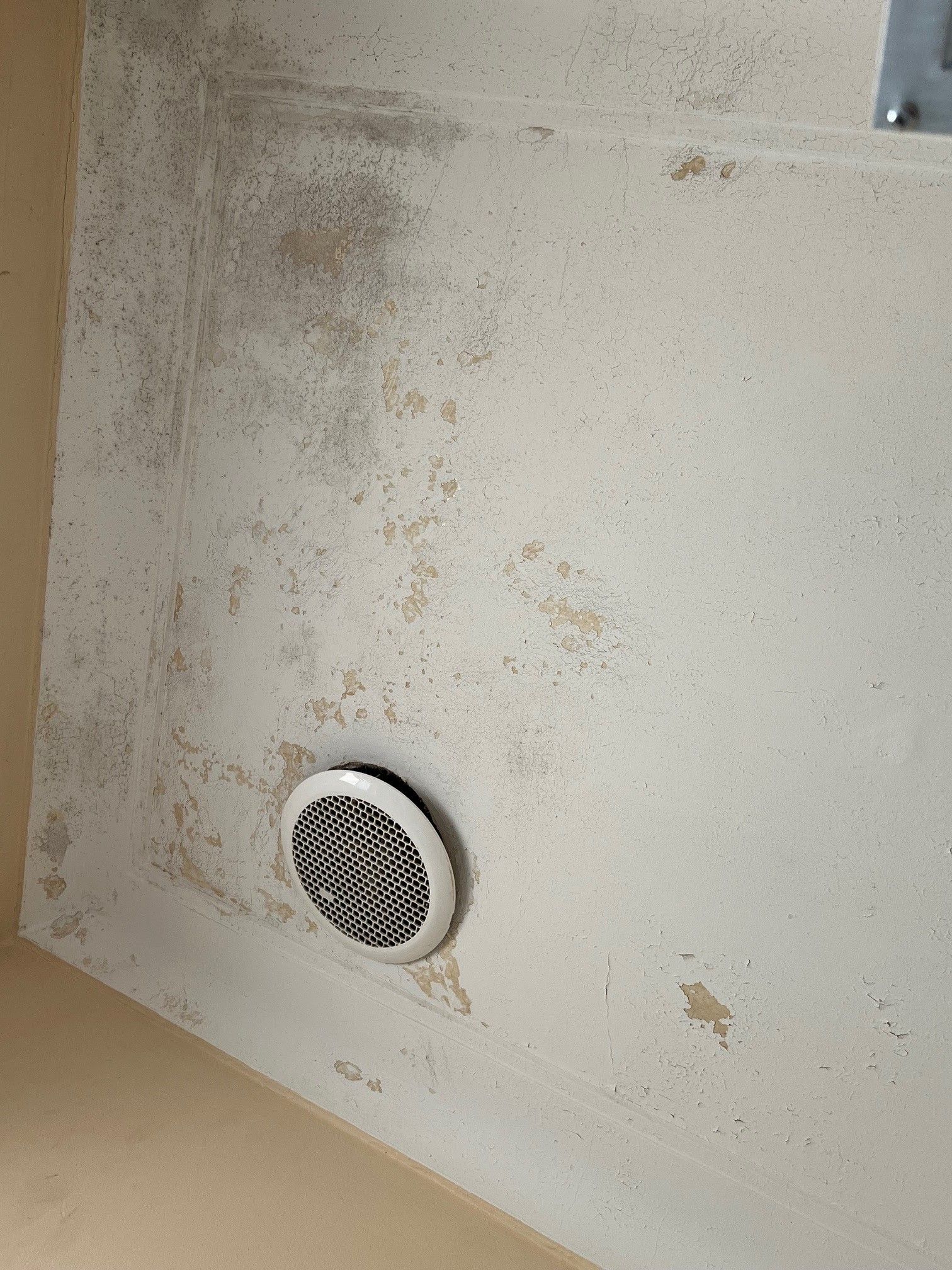 How to paint a sandy concrete surface? | Bunnings Workshop community