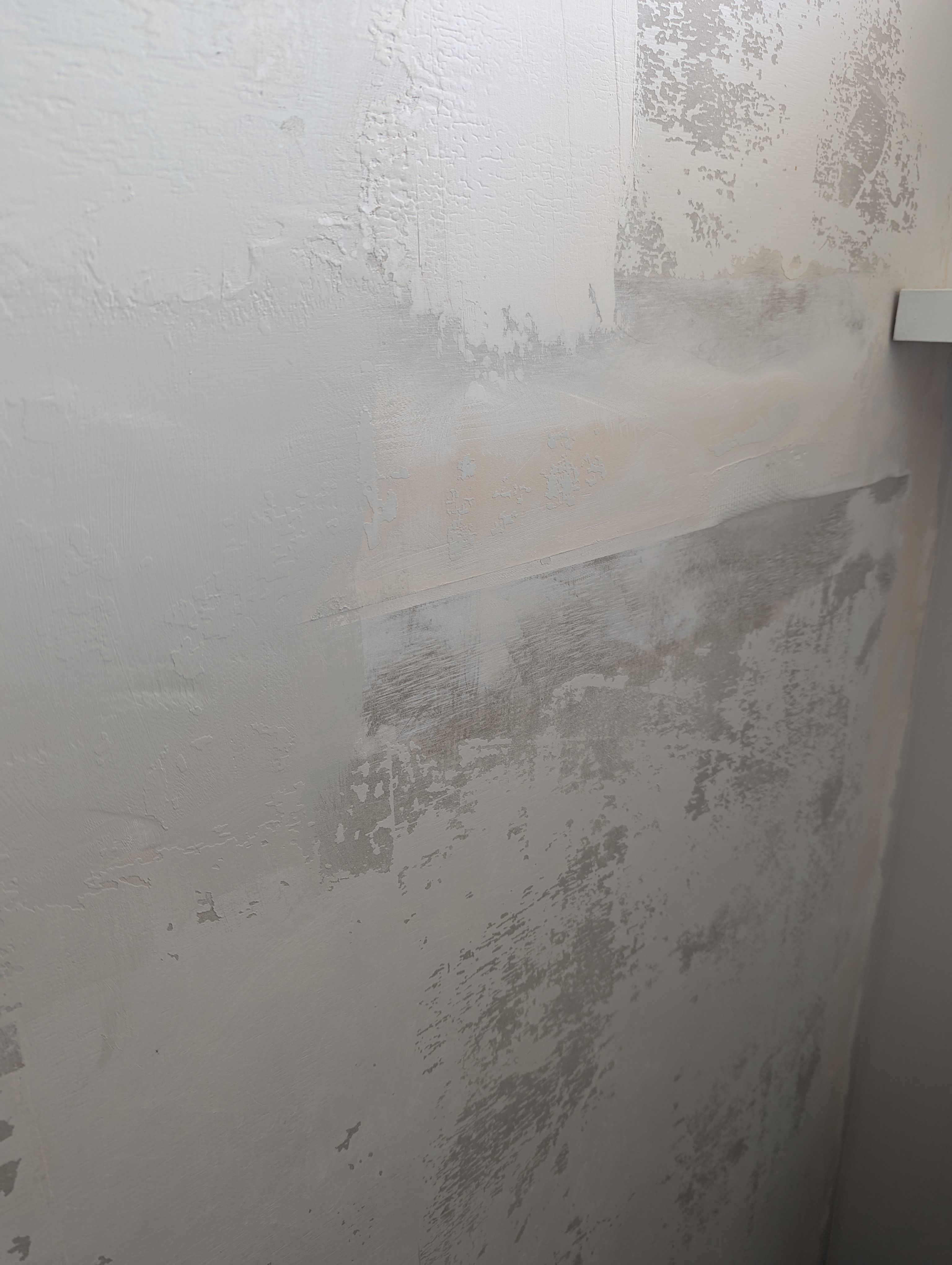 How to prepare and paint an uneven wall ... | Bunnings Workshop community