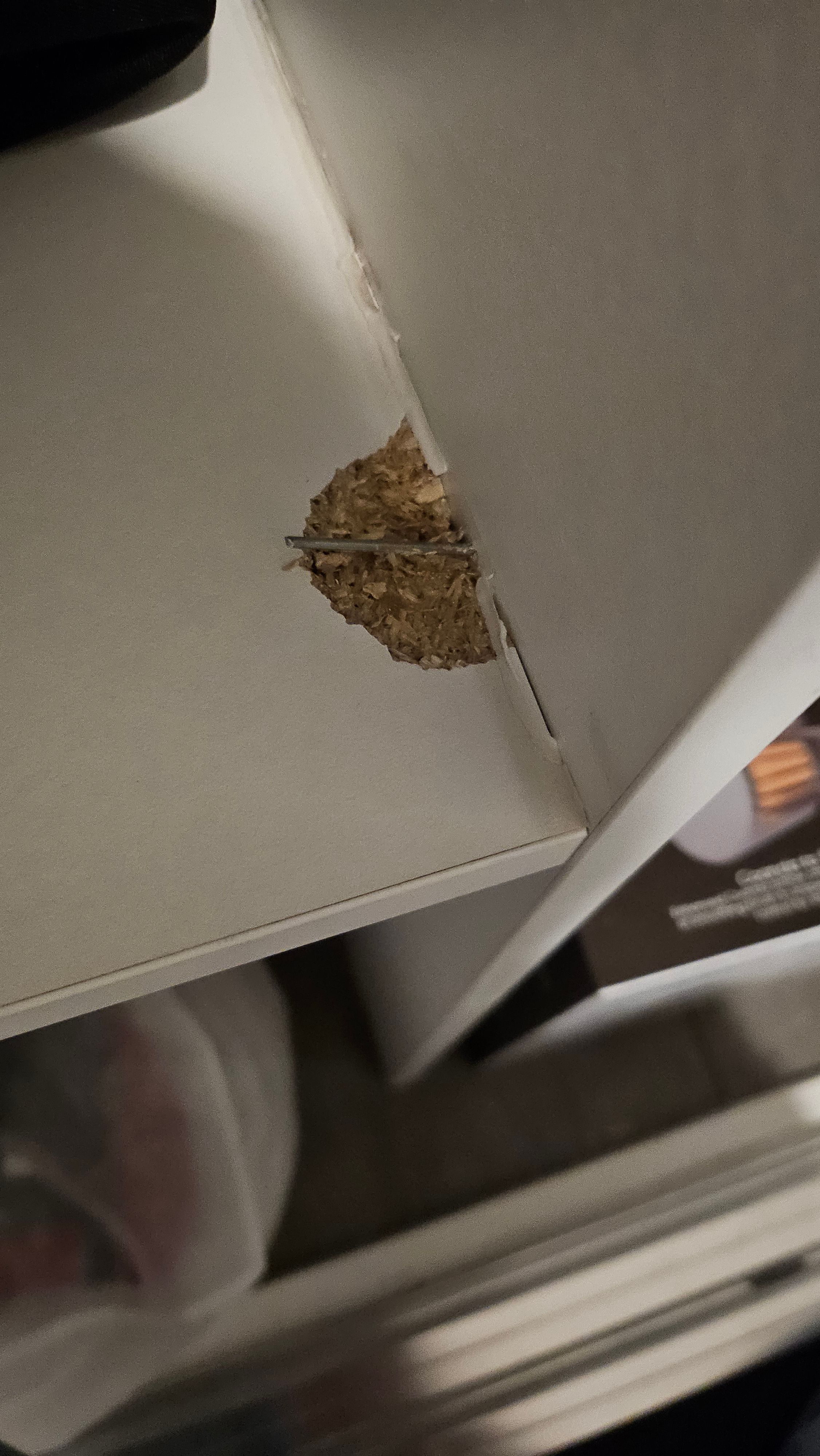 How to fix broken wardrobe shelf? | Bunnings Workshop community