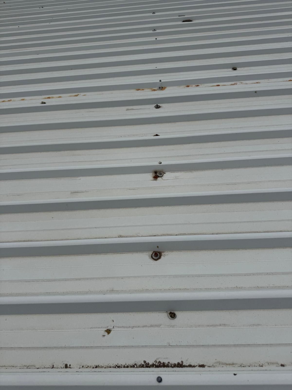 Solved: How to fix leaking metal roof? | Bunnings Workshop community