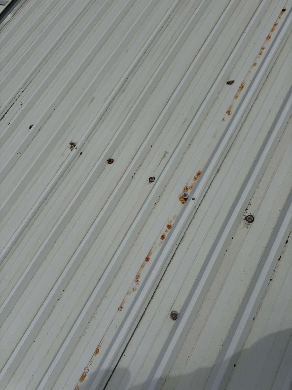 Solved: How to fix leaking metal roof? | Bunnings Workshop community