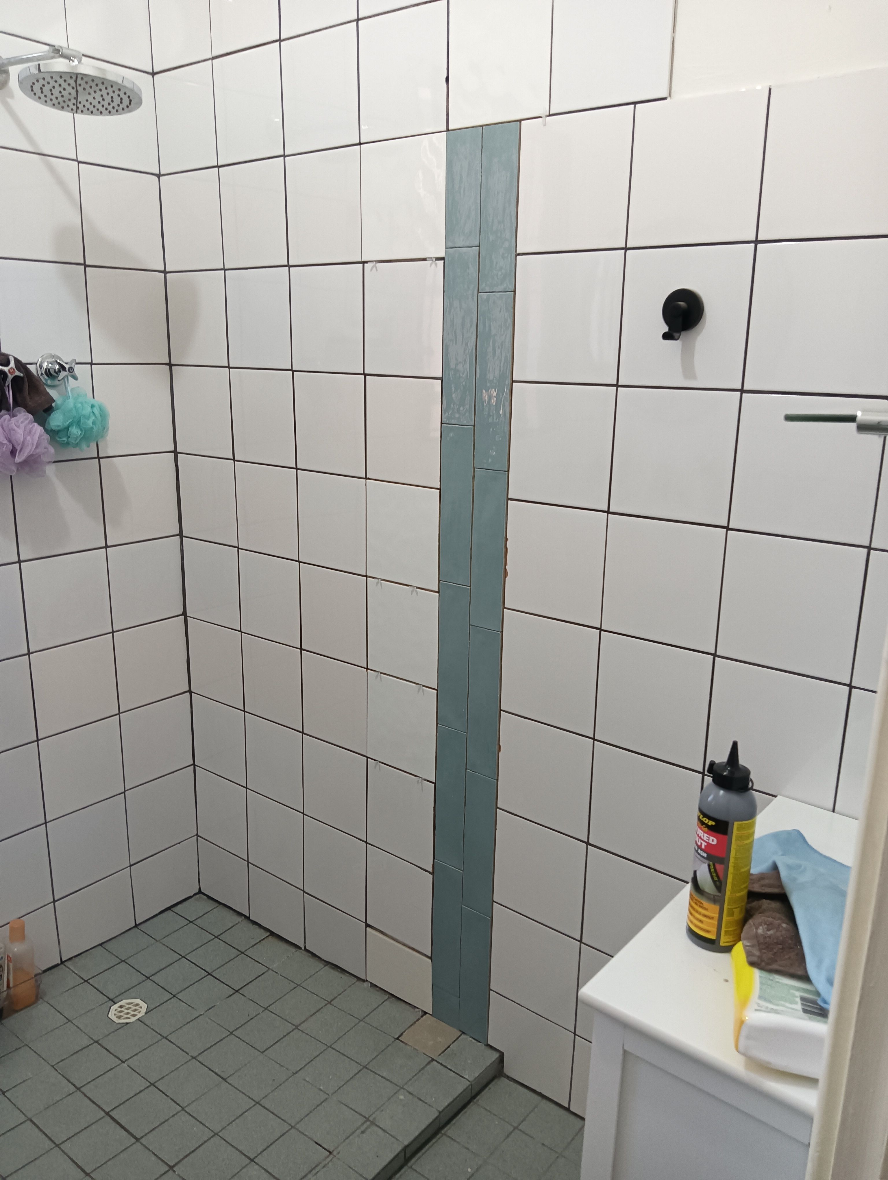 How to remove metal shower screen fixtur... | Bunnings Workshop community