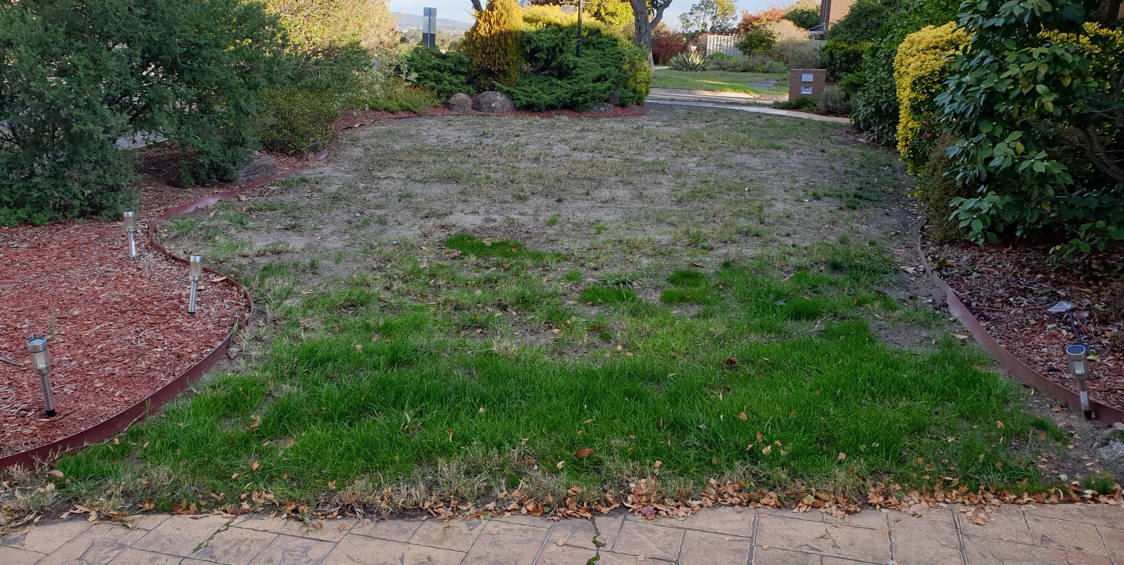 Redoing front lawn | Bunnings Workshop community