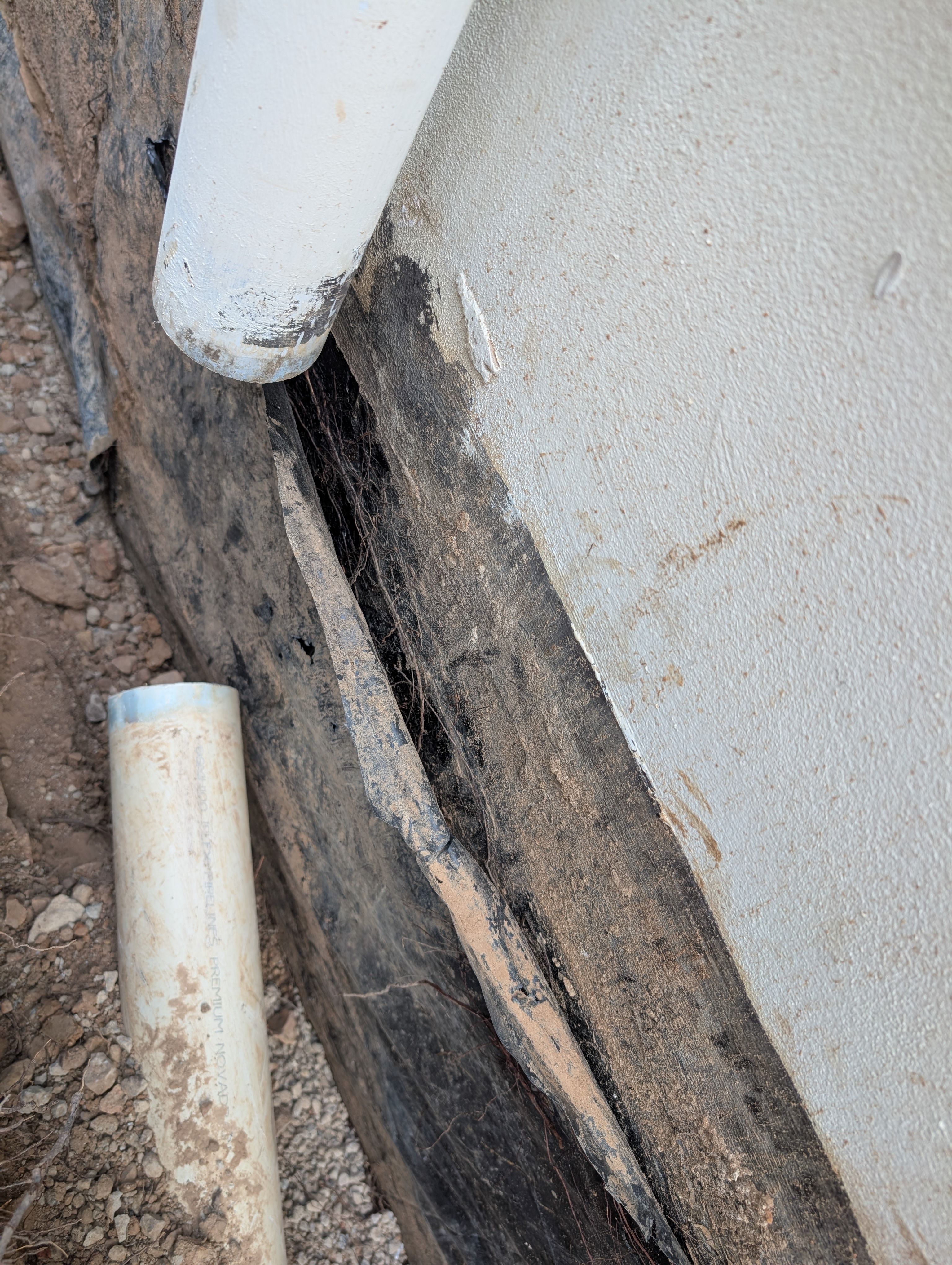 How to repair basement wall membrane? | Bunnings Workshop community