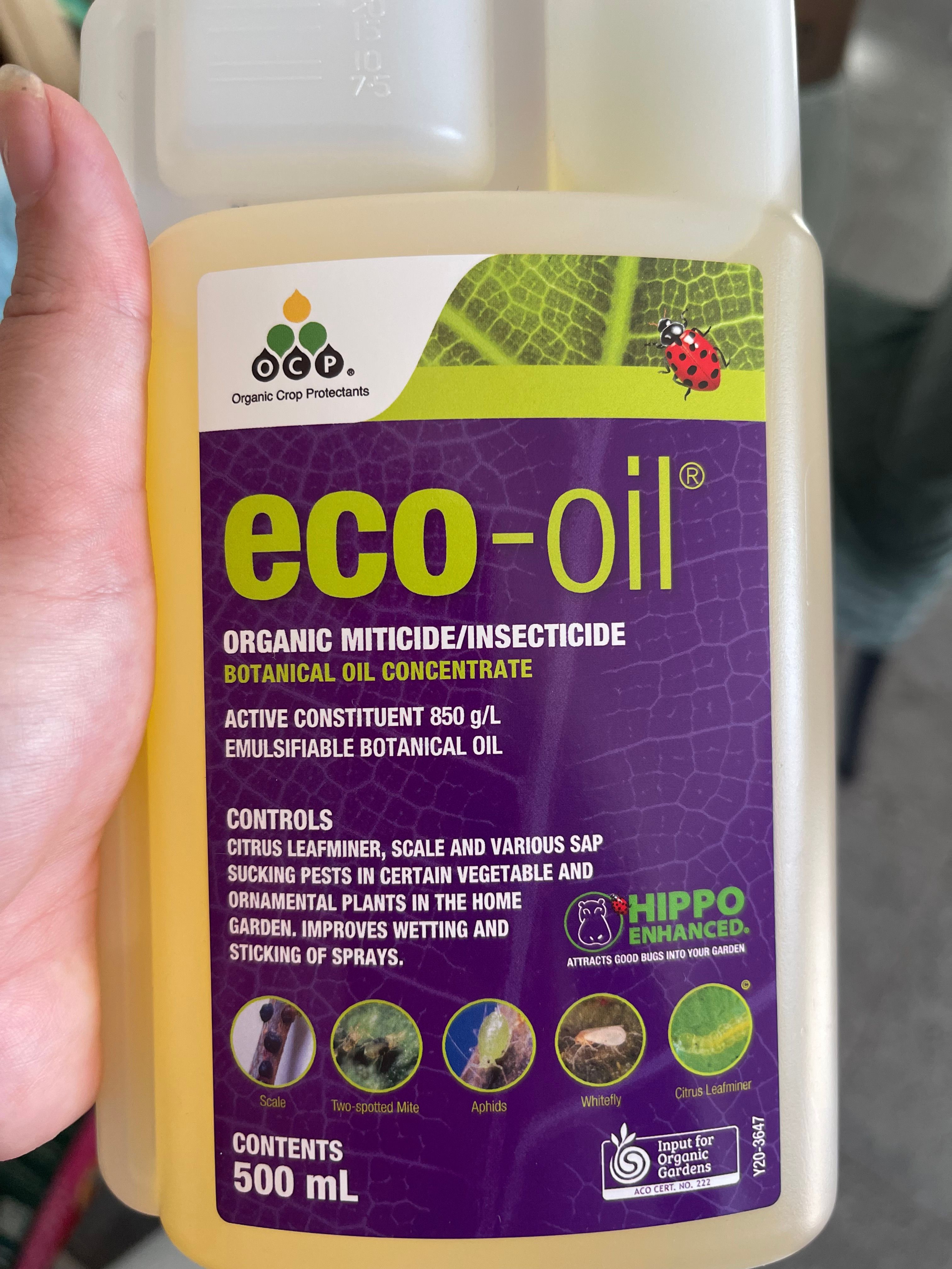 Can Eco-oil be used on lawns? | Bunnings Workshop community