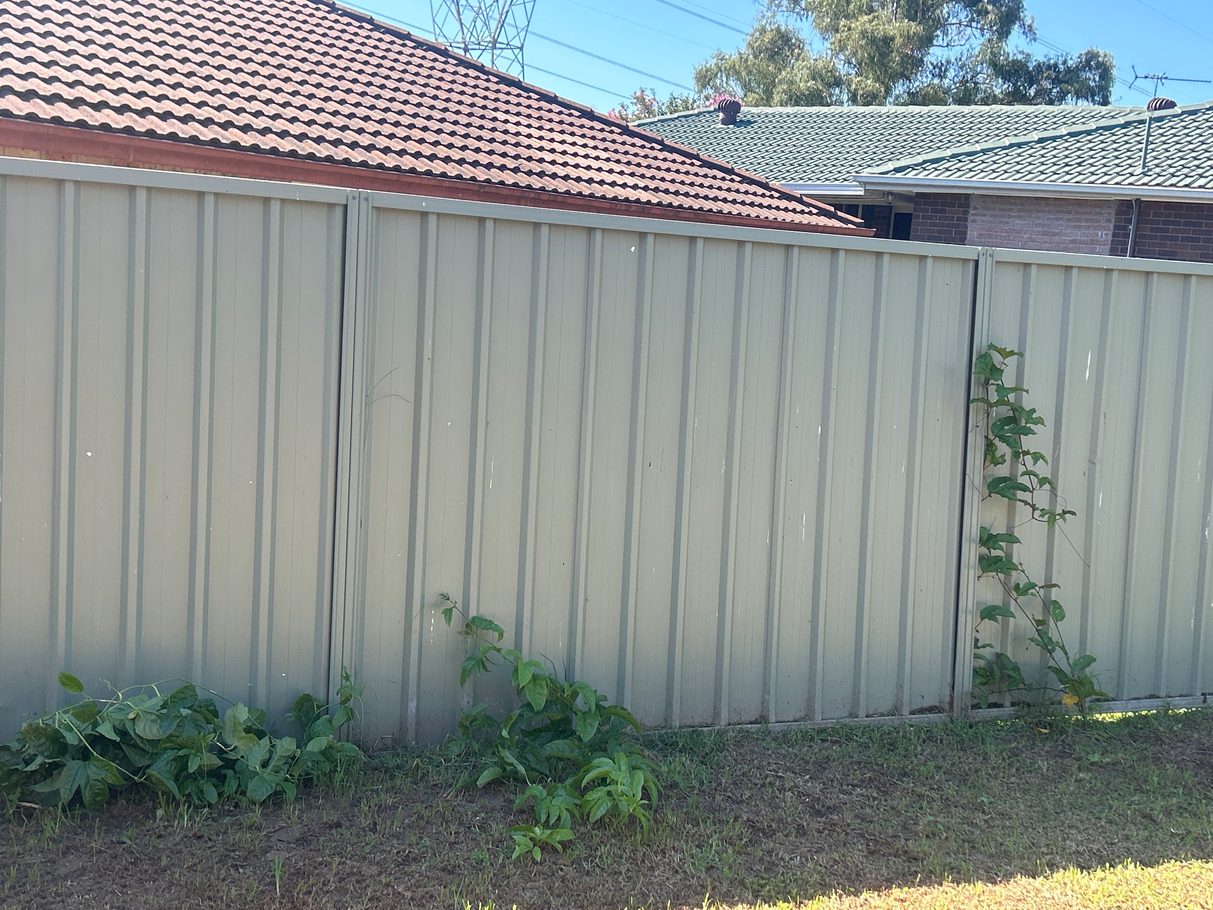 How to add trellis to Colorbond fence? | Bunnings Workshop community