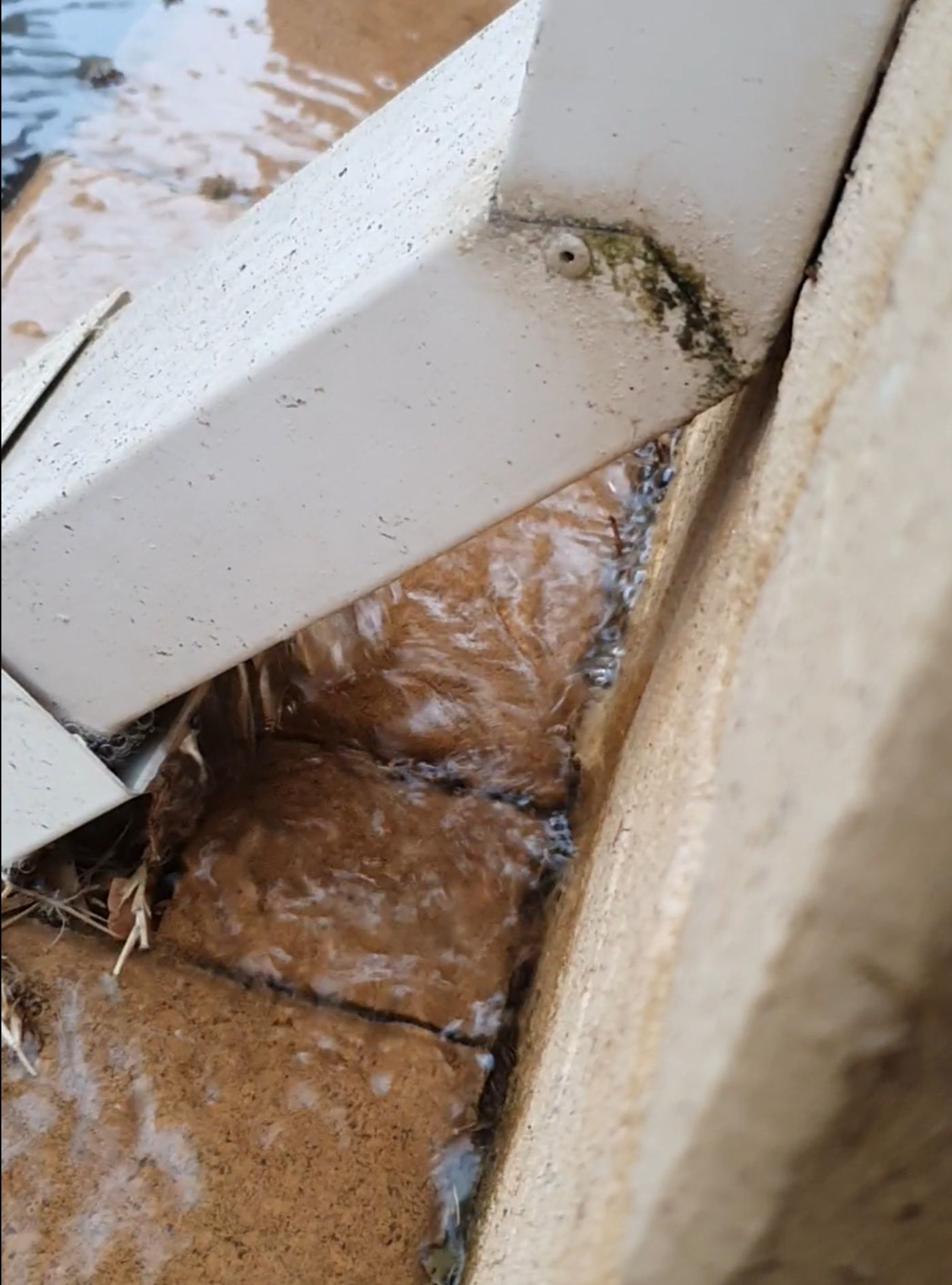 Solved: How to fix storm water downpipe overflow... | Bunnings Workshop ...