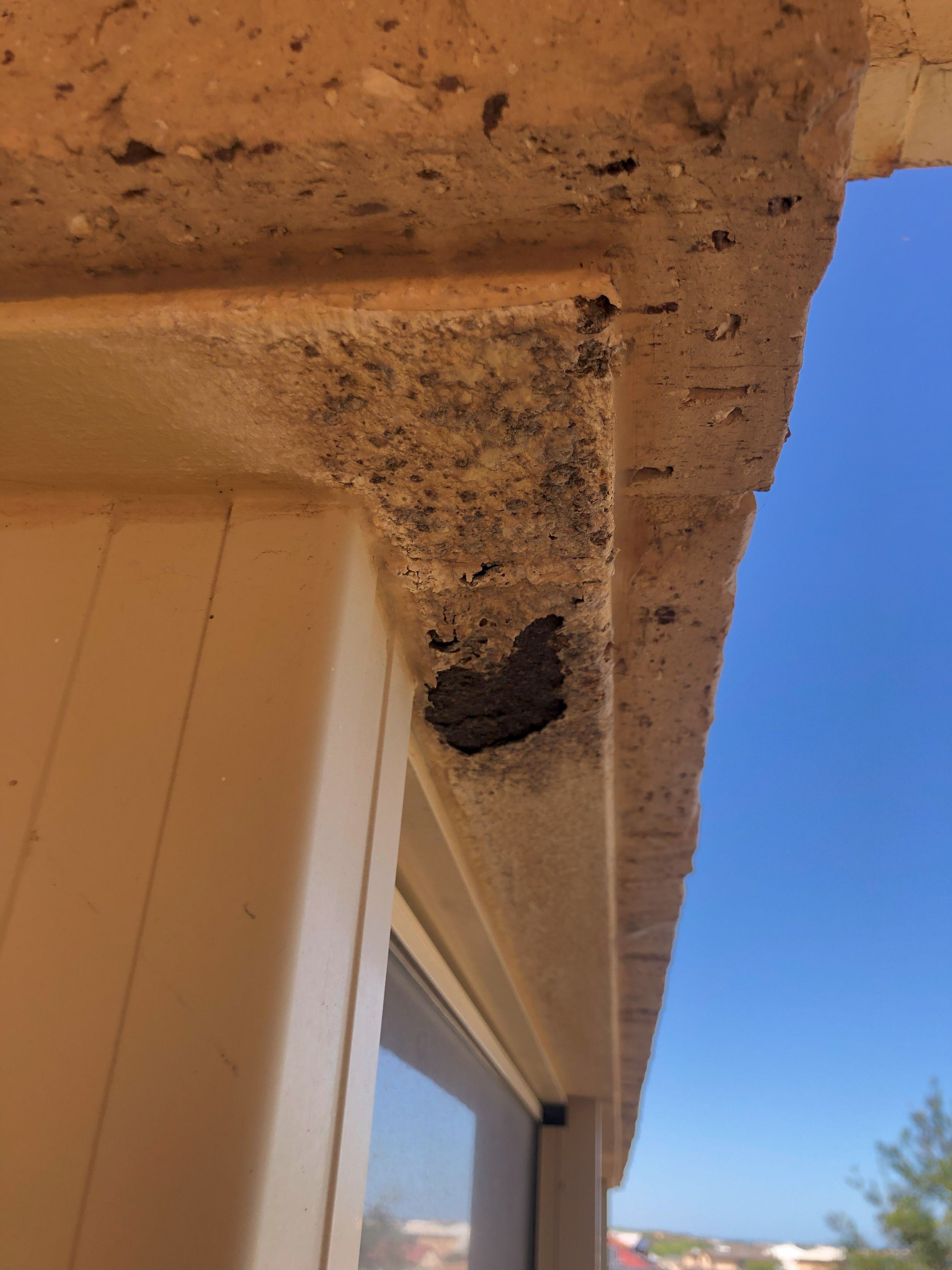 How to treat and paint a corroded lintel... | Bunnings Workshop community