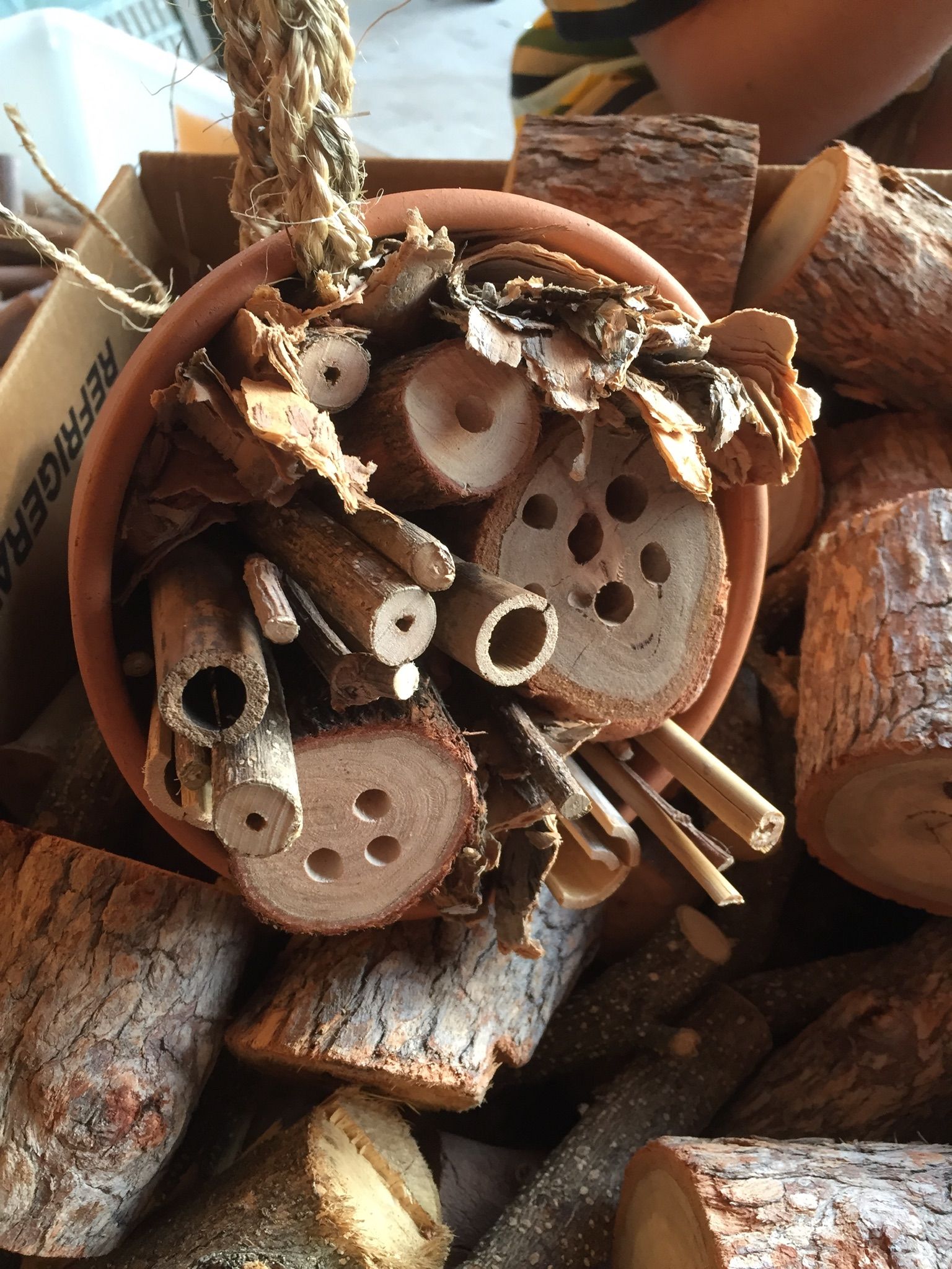 Native bee and pollinator house | Bunnings Workshop community