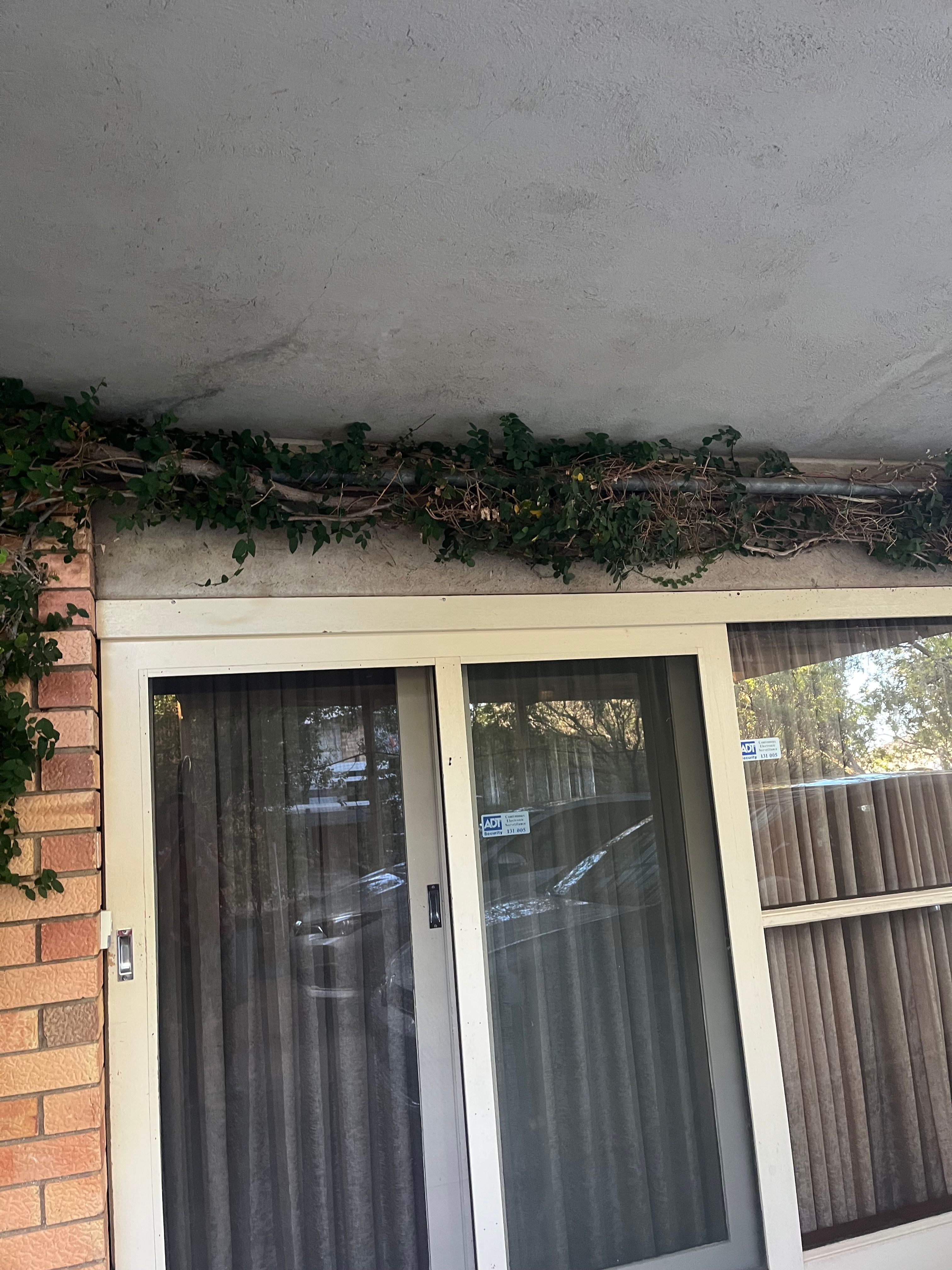 How to hide a gas pipe? | Bunnings Workshop community