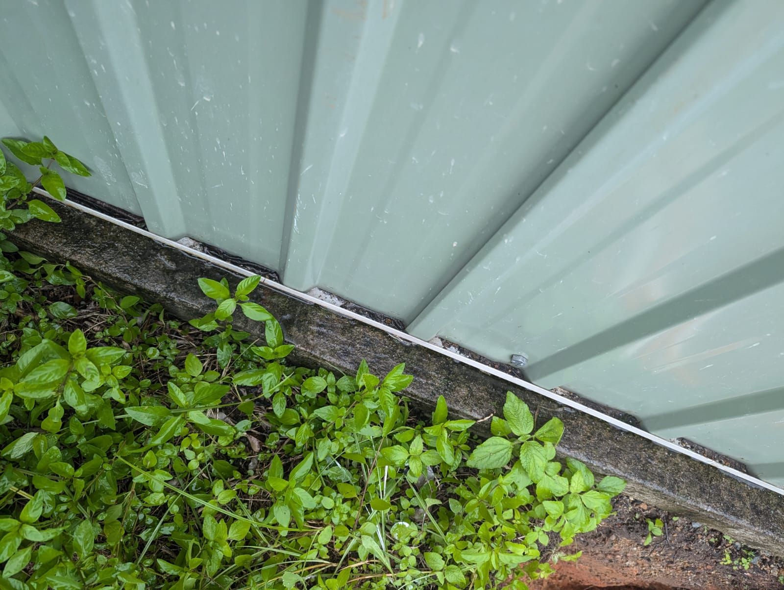 How to seal garden shed gaps? | Bunnings Workshop community