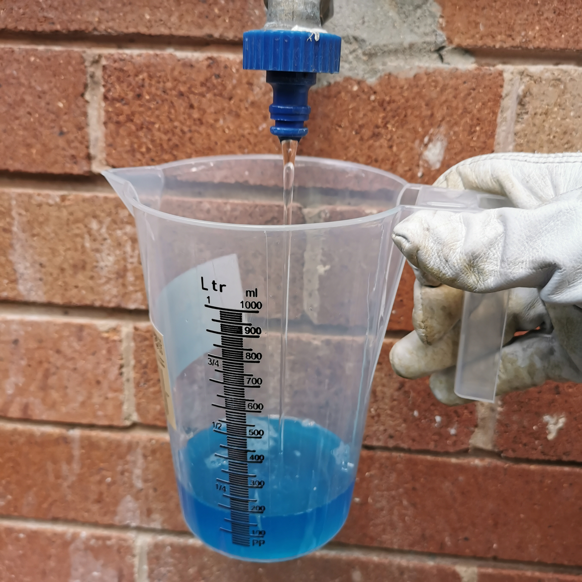 How to stop a tree stump regrowing | Bunnings Workshop community