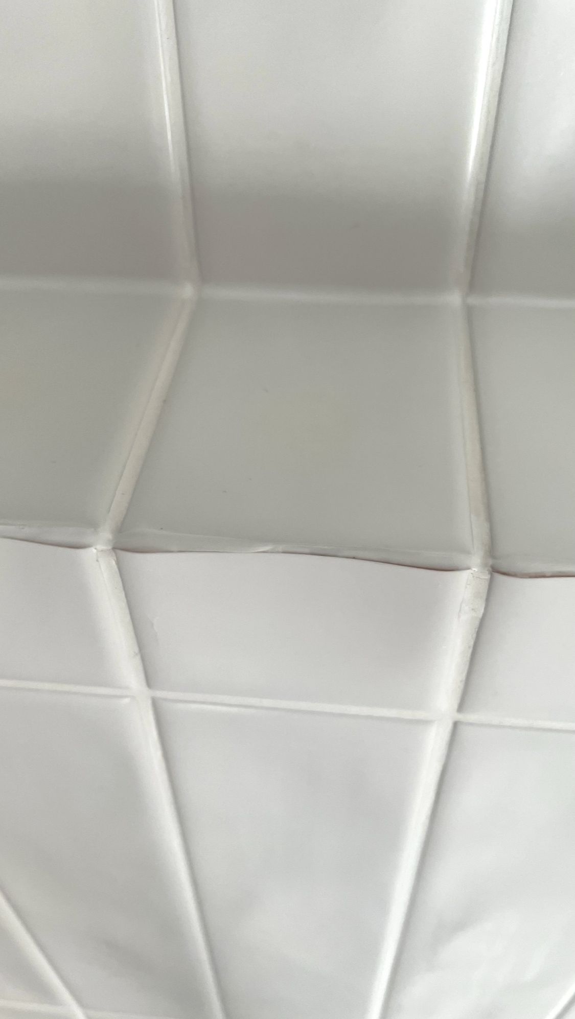 How can I improve jagged tile edge in sh... | Bunnings Workshop community