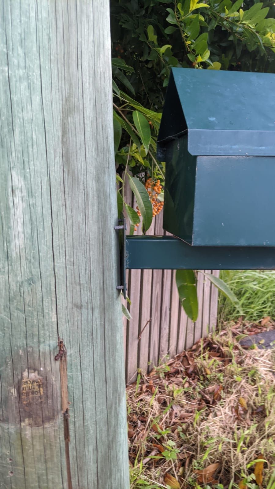 How to drive a screw into timber pole us... | Bunnings Workshop community