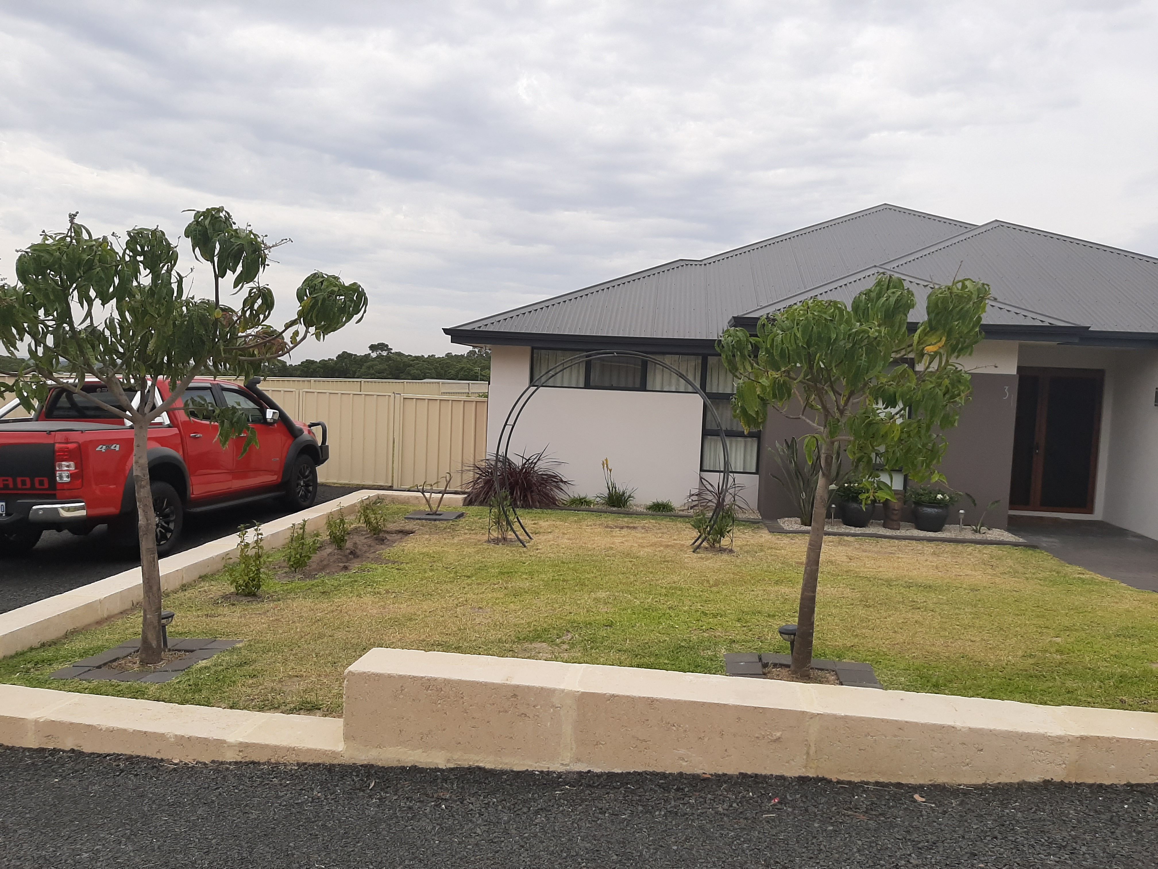 Protection of Mango Trees | Bunnings Workshop community