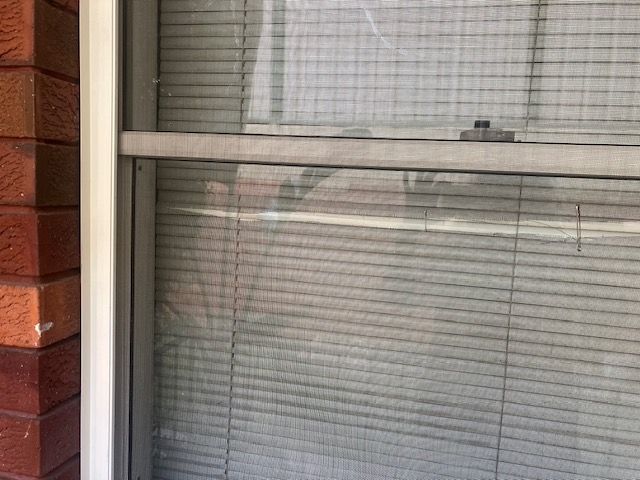 How to replace a ripped fly screen? | Bunnings Workshop community