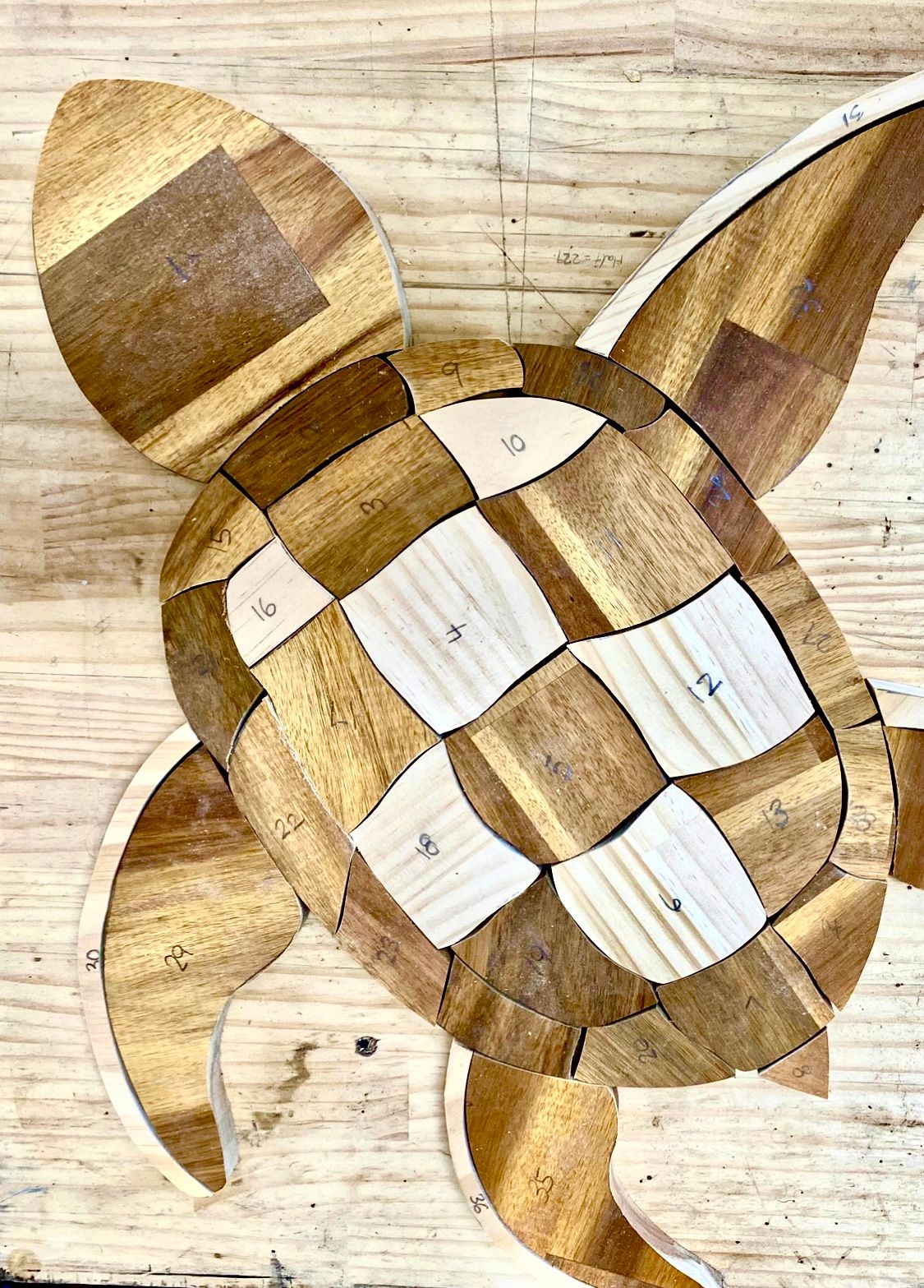 Wooden Turtle Wall Art | Bunnings Workshop community