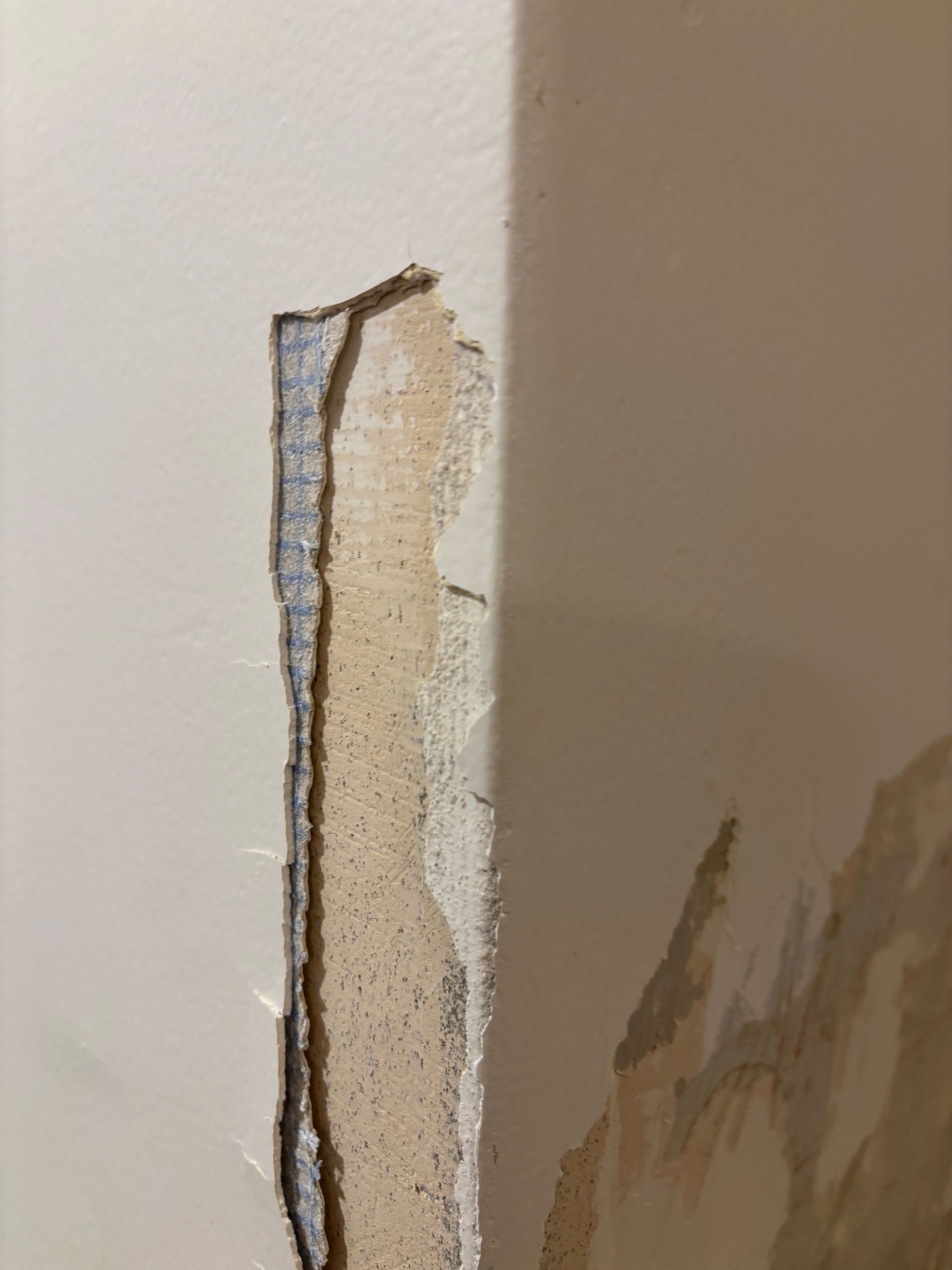 How to fix water damaged wall? | Bunnings Workshop community