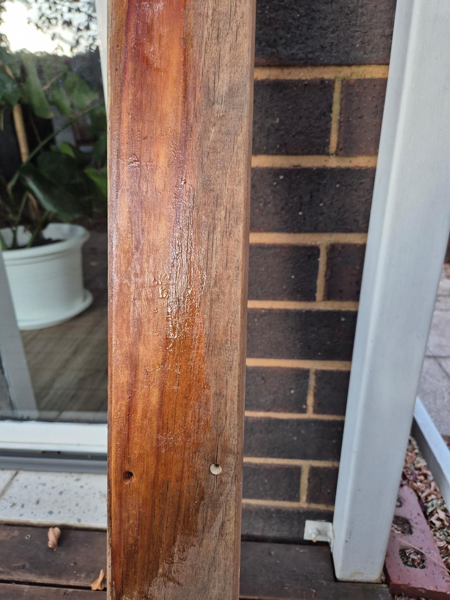 How to remove sap from timber deck panel... | Bunnings Workshop community