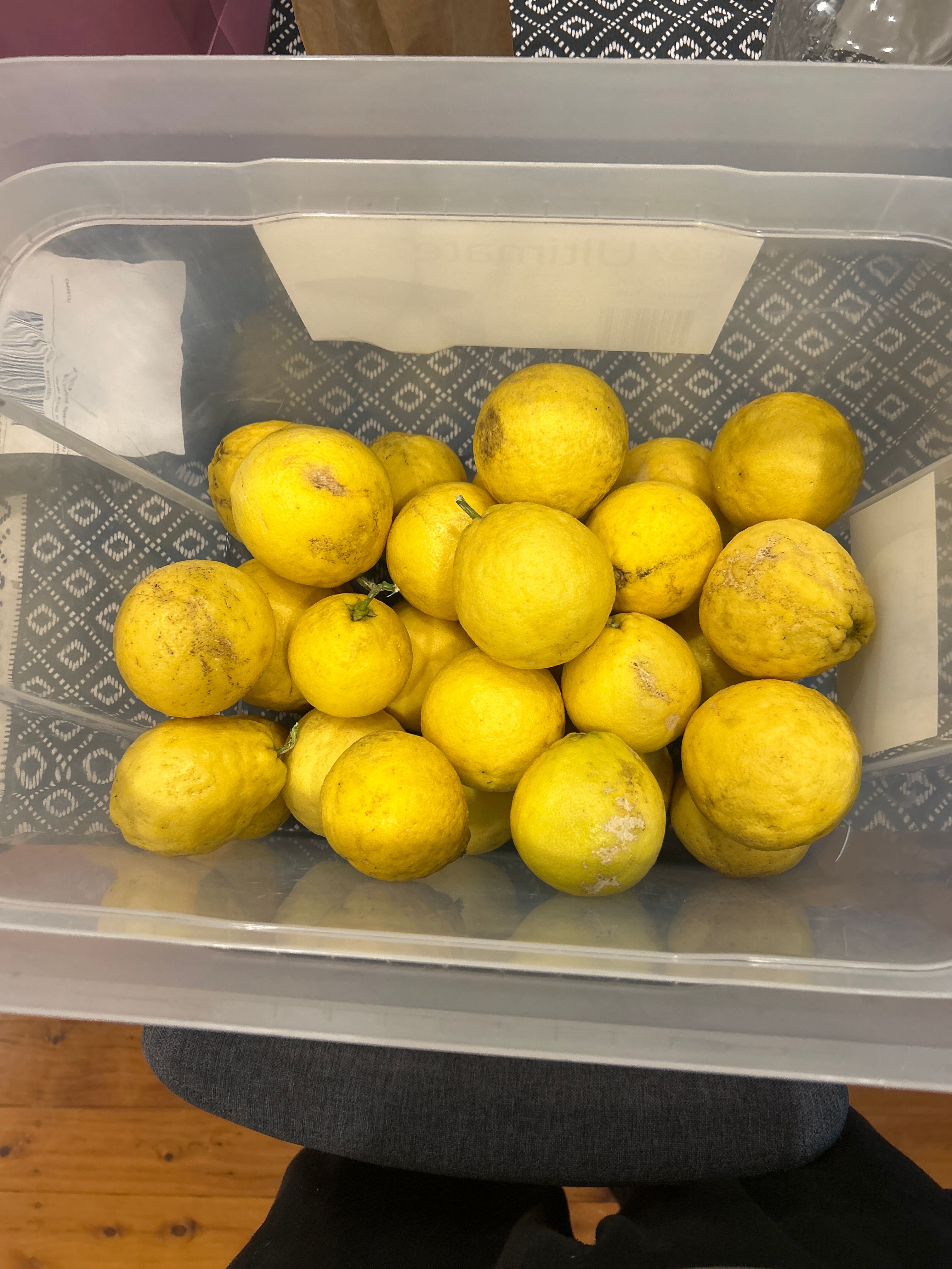 Are lemons with mottled skin edible? | Bunnings Workshop community