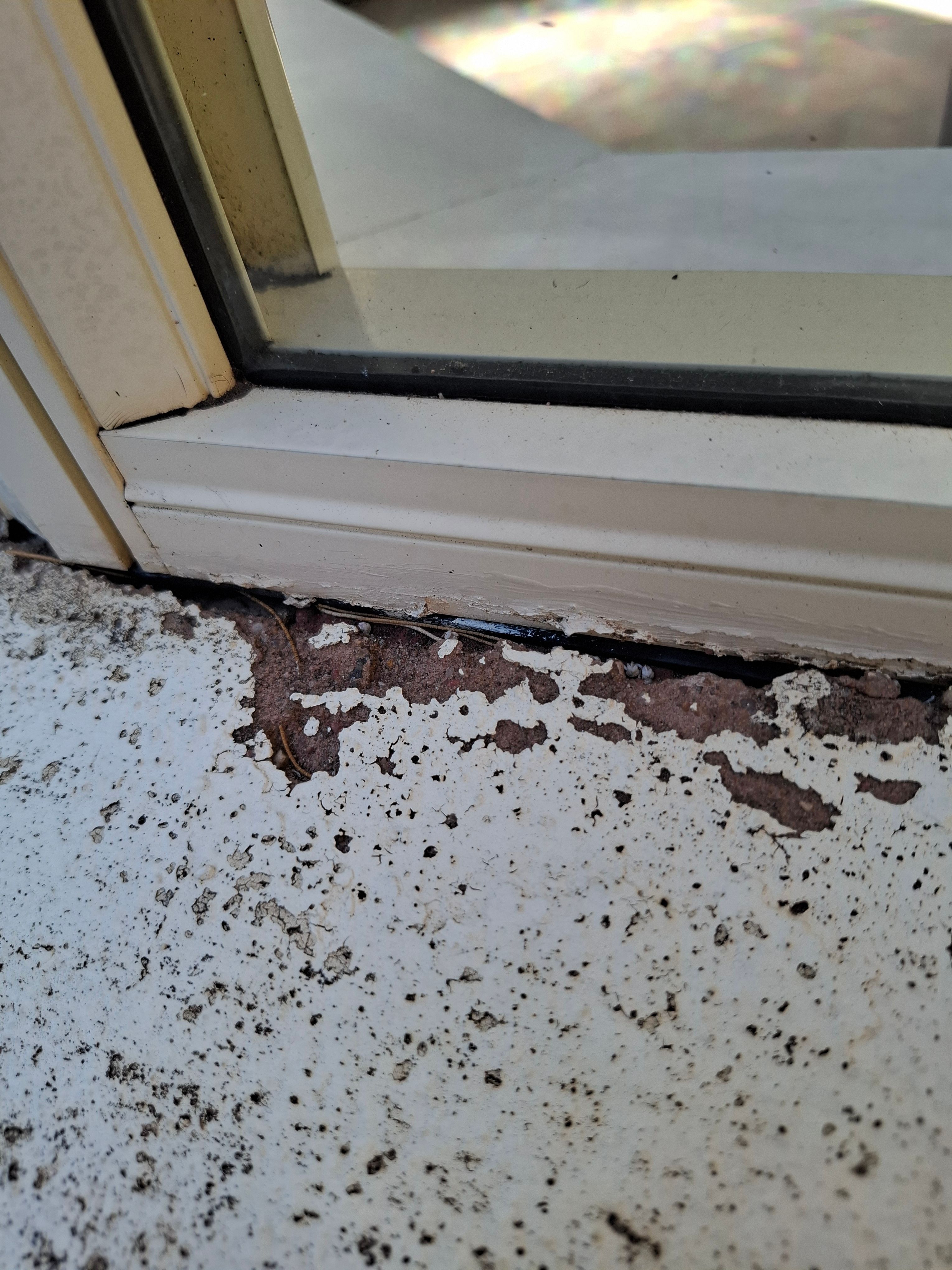 How do I fix chipped render? | Bunnings Workshop community