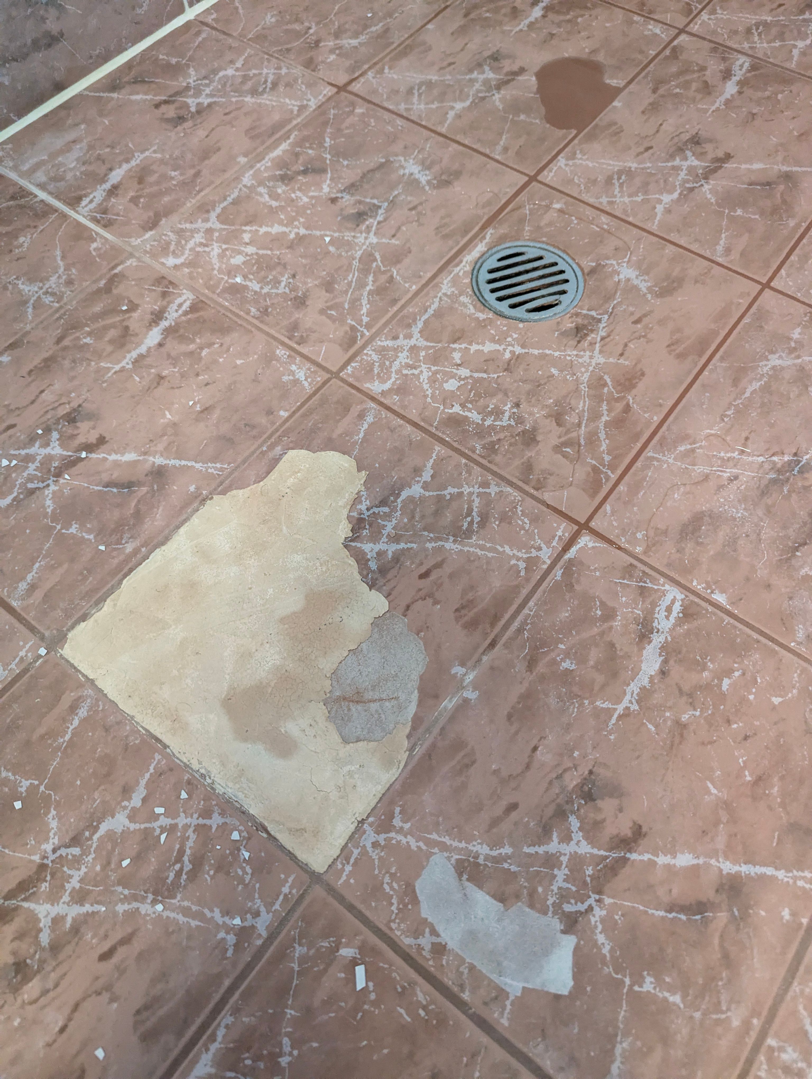 Solved: How to repair shower floor tile flaking? | Bunnings Workshop ...