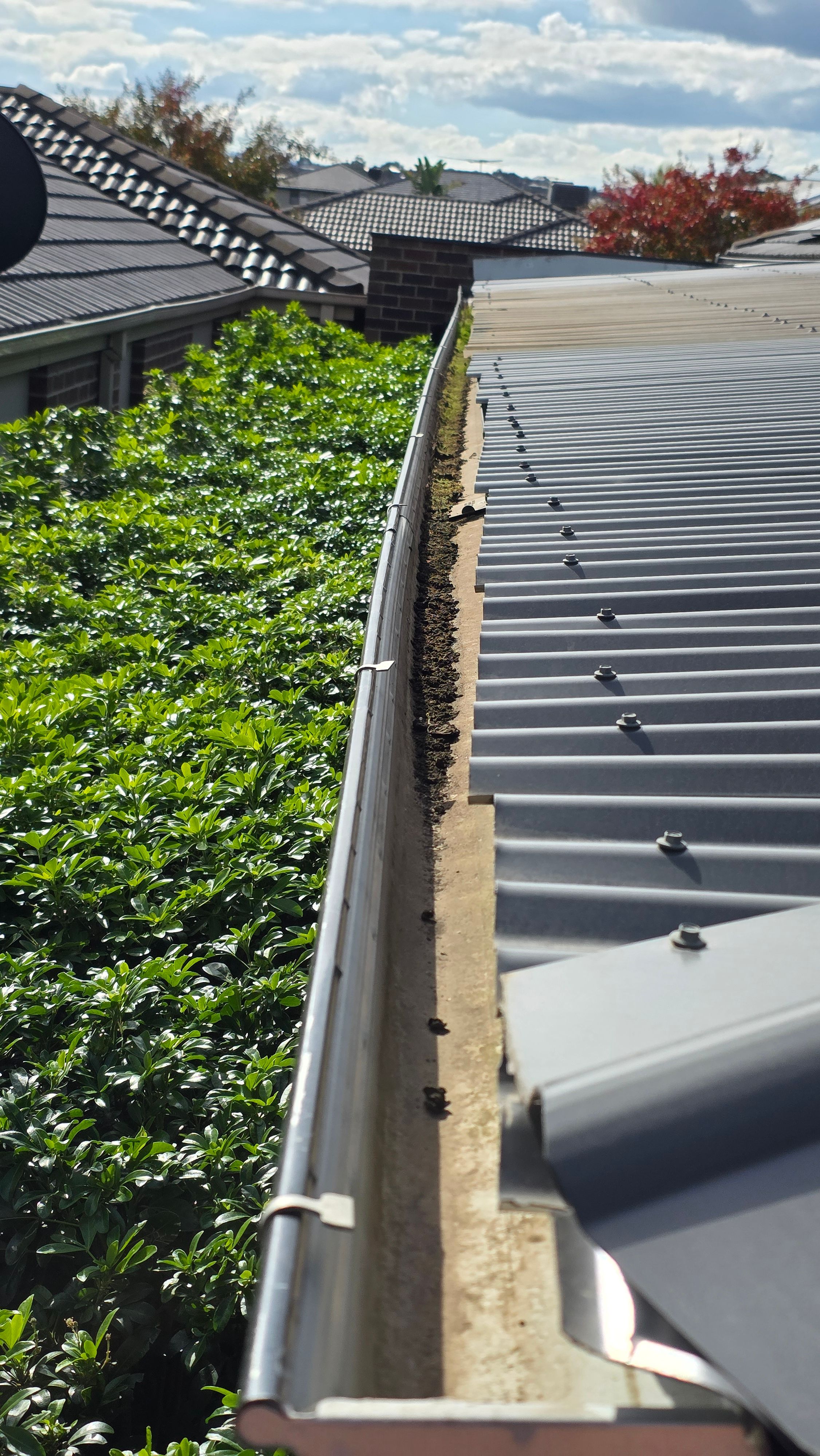 How to fix leaking gutters? | Bunnings Workshop community