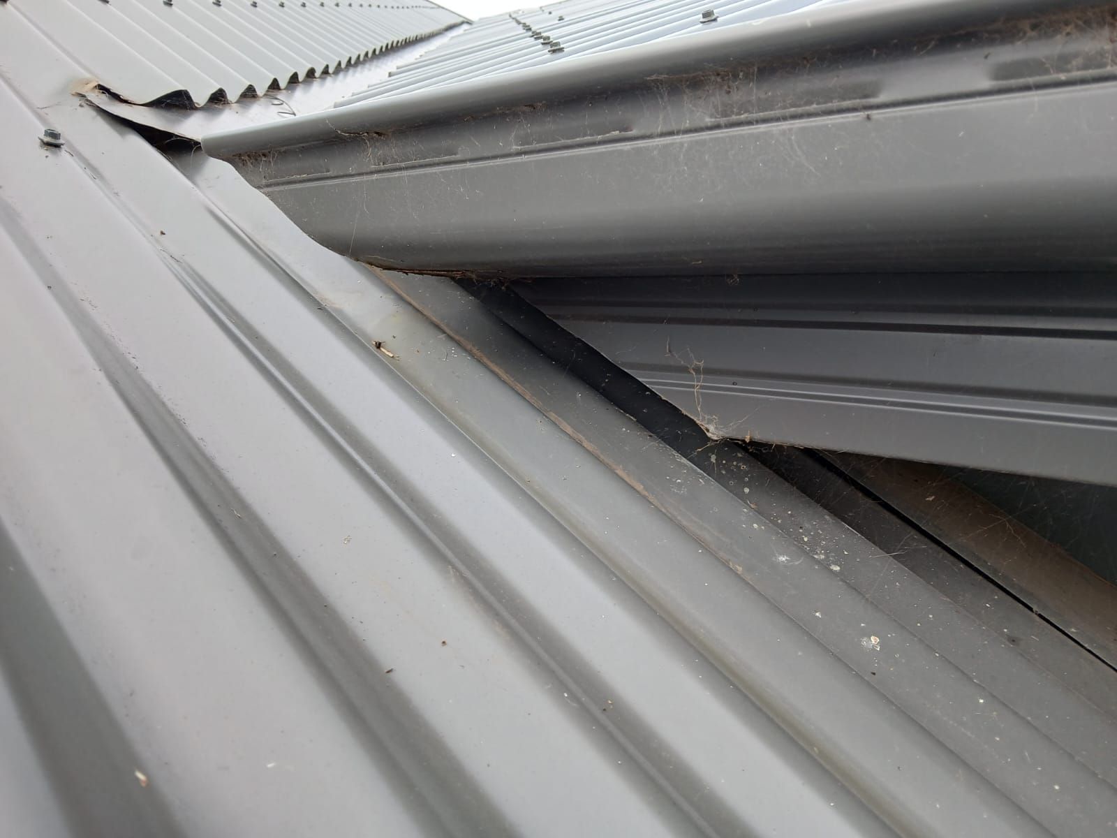 How to fix a gap in Colorbond roof? | Bunnings Workshop community