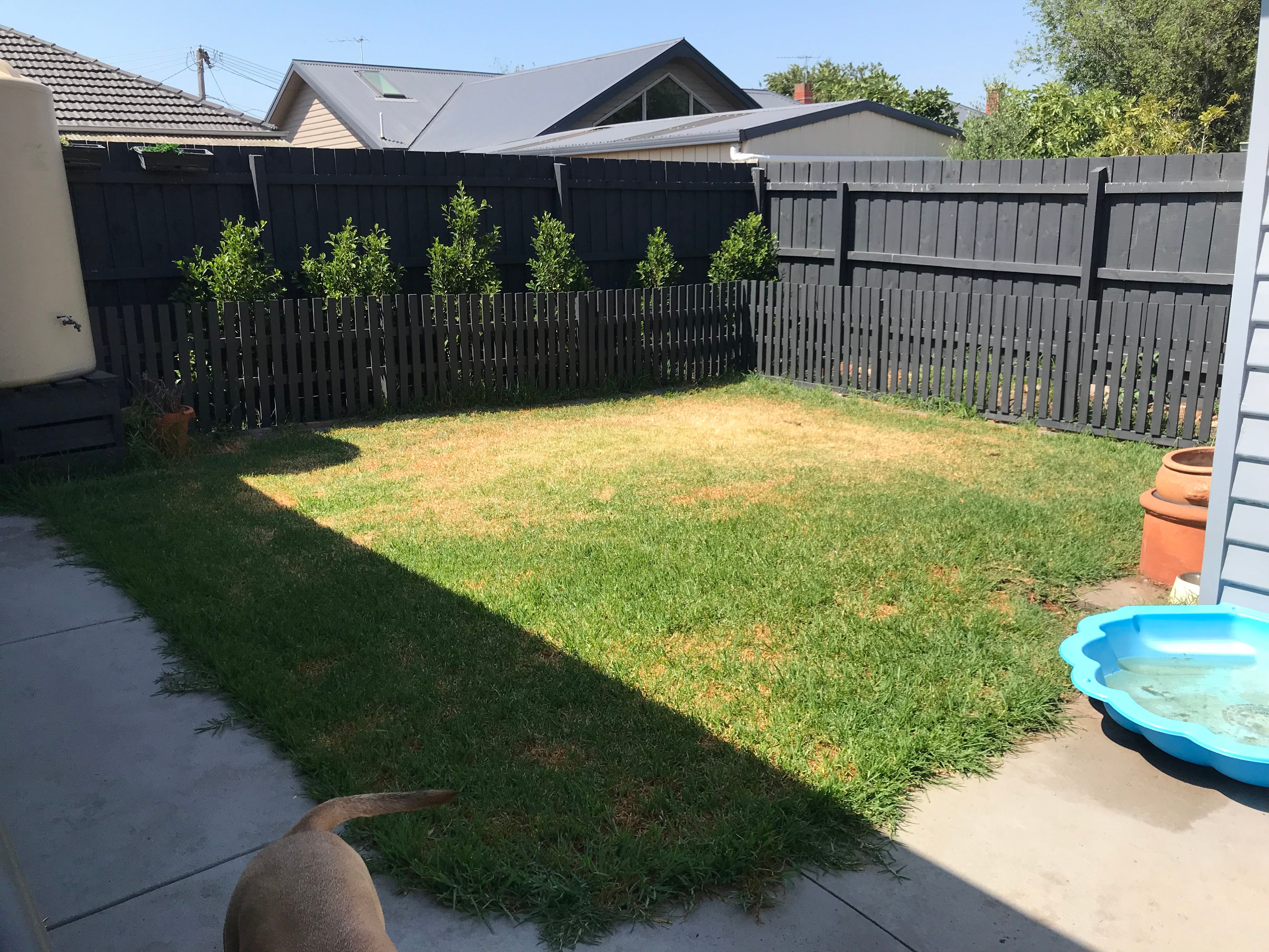 Outdoor entertaining/backyard reno - ins... | Bunnings Workshop community