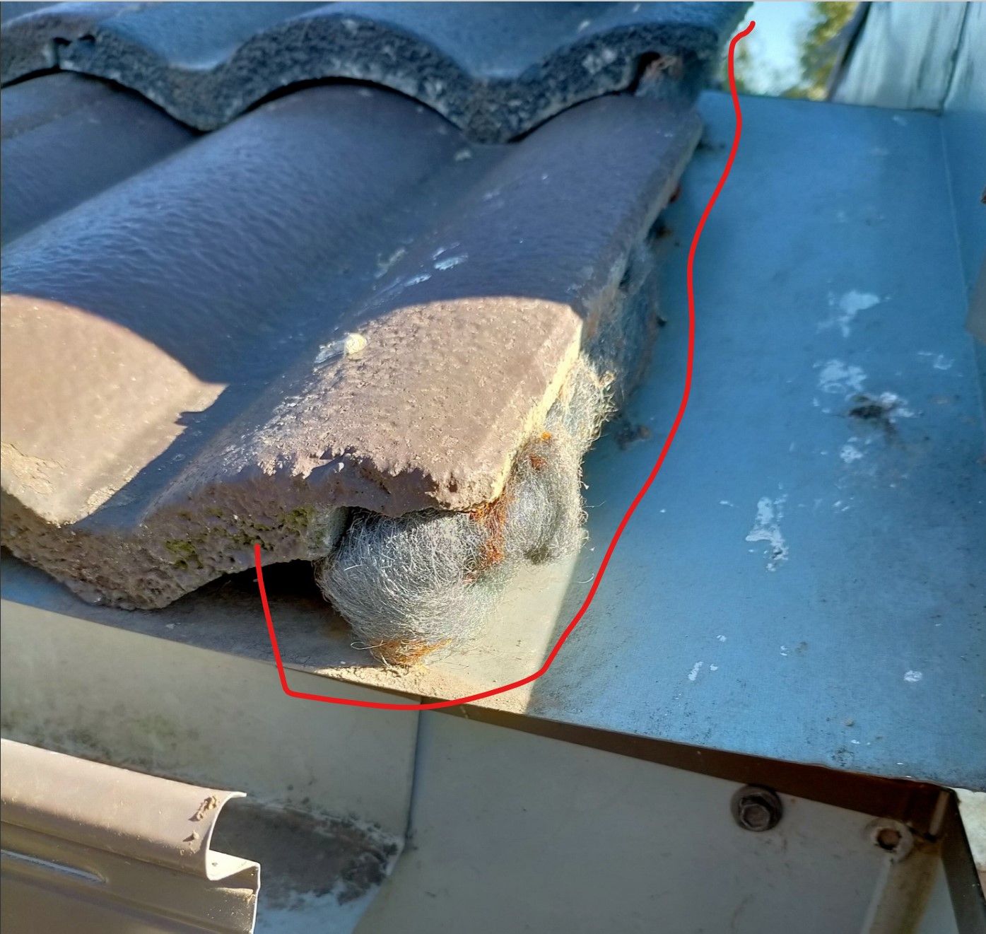 Solved: How to restrict rodent entry into roof ? | Bunnings Workshop ...