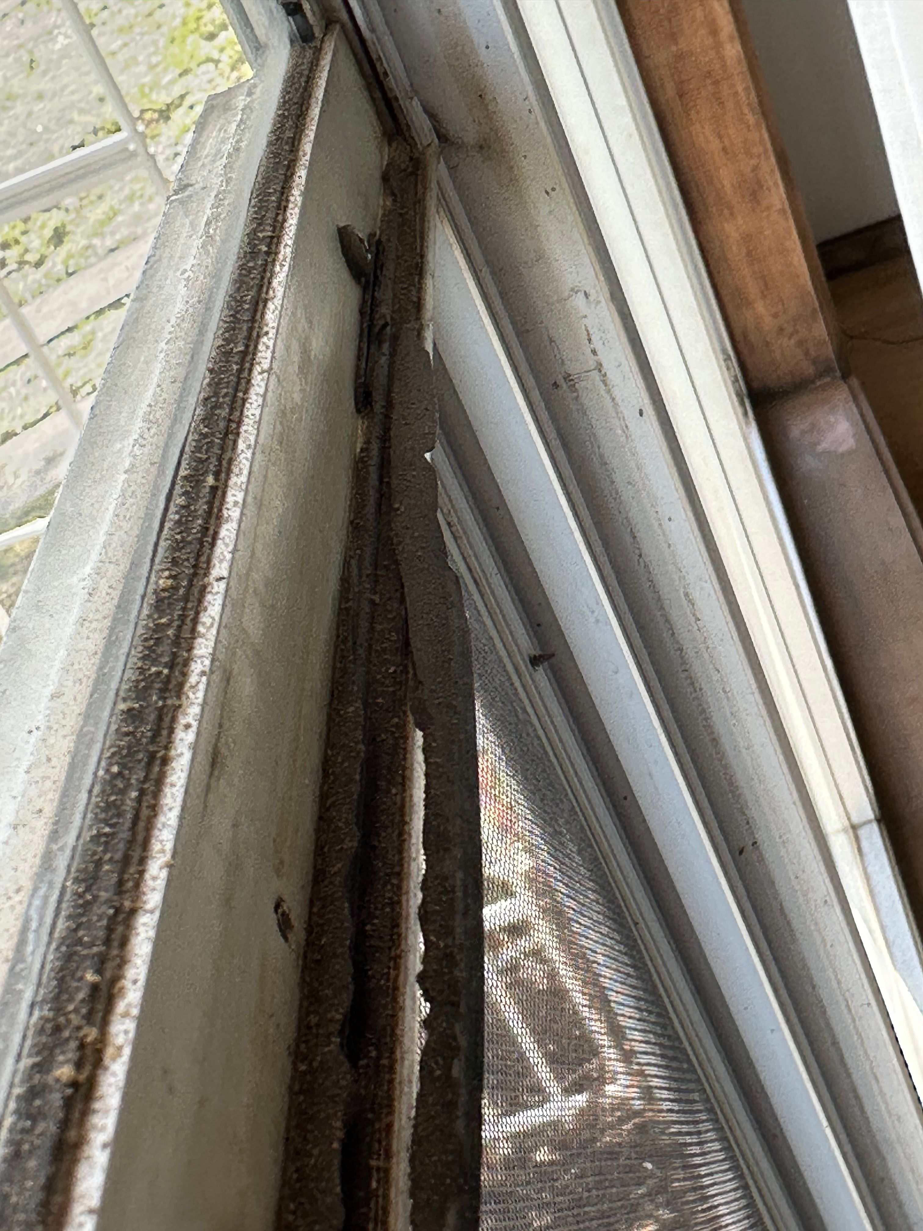 How to replace seal on sliding windows? | Bunnings Workshop community