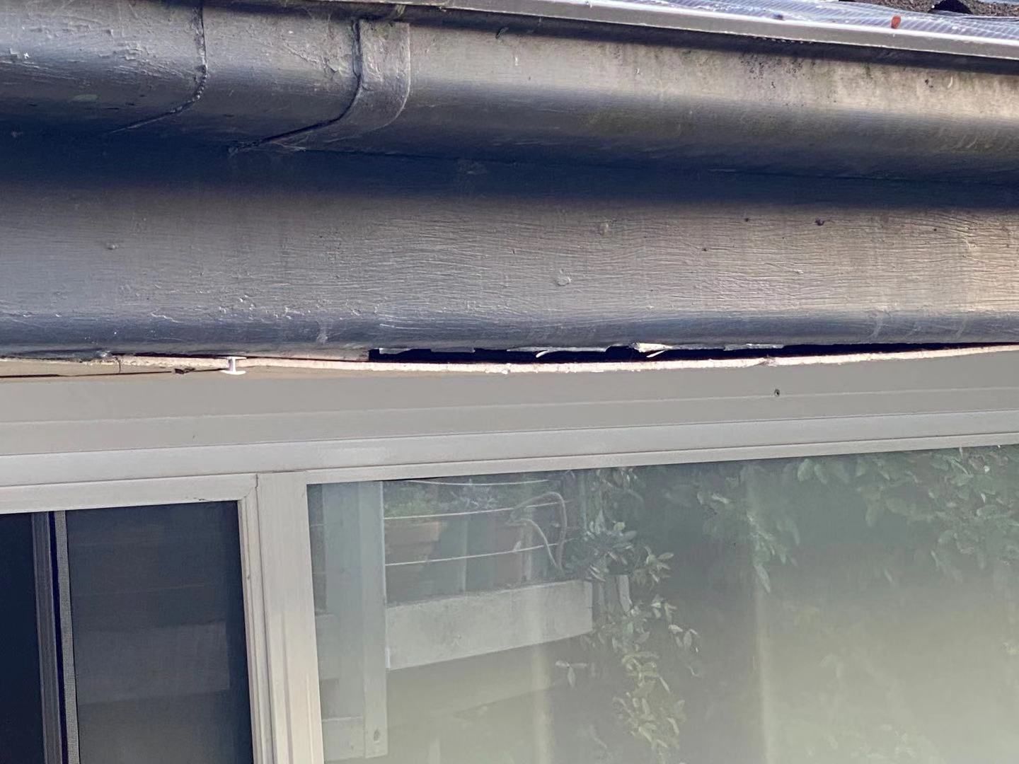 How to fix the drop eave sheet drop from... | Bunnings Workshop community