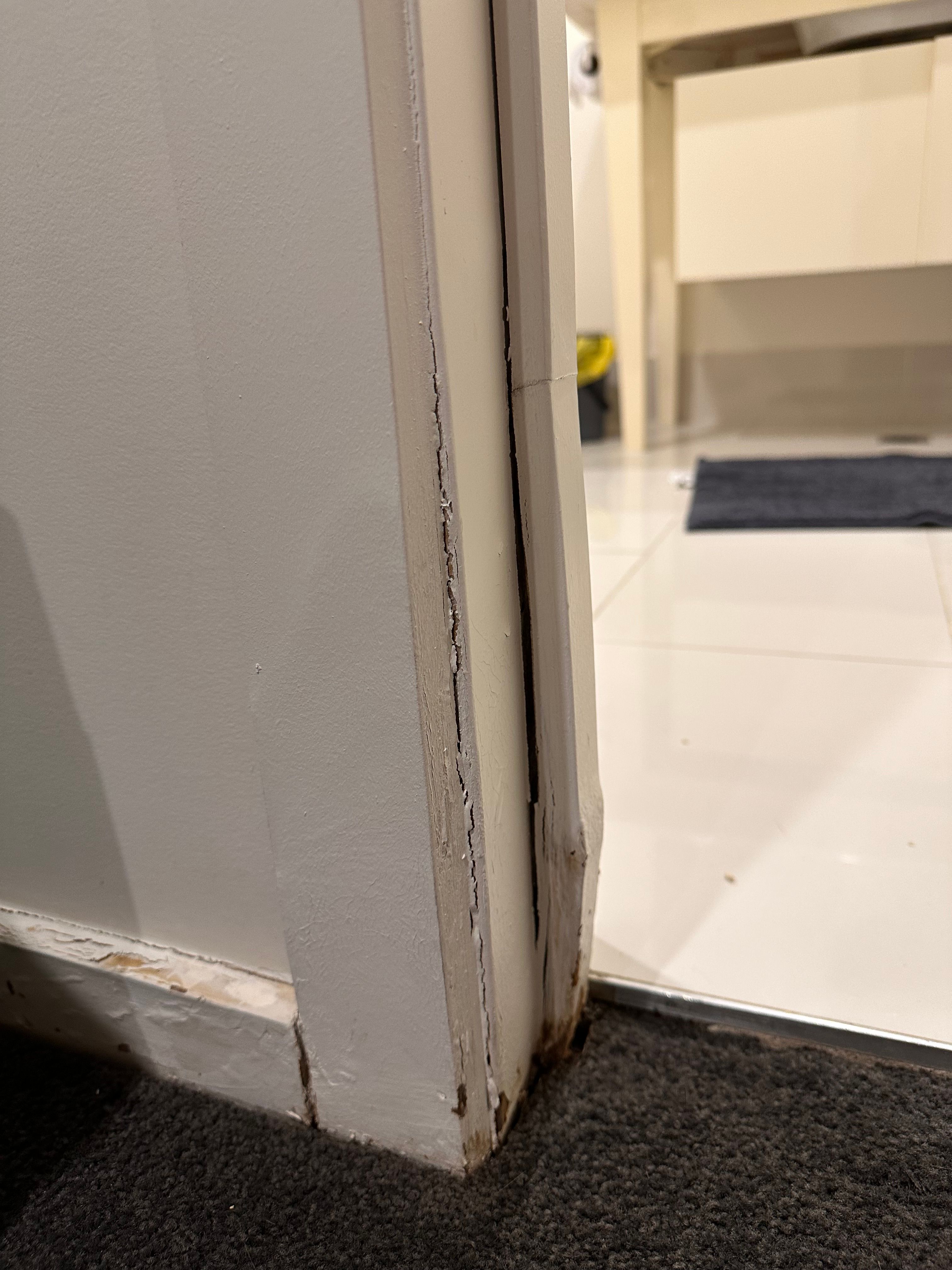 repairing door frame rot | Bunnings Workshop community