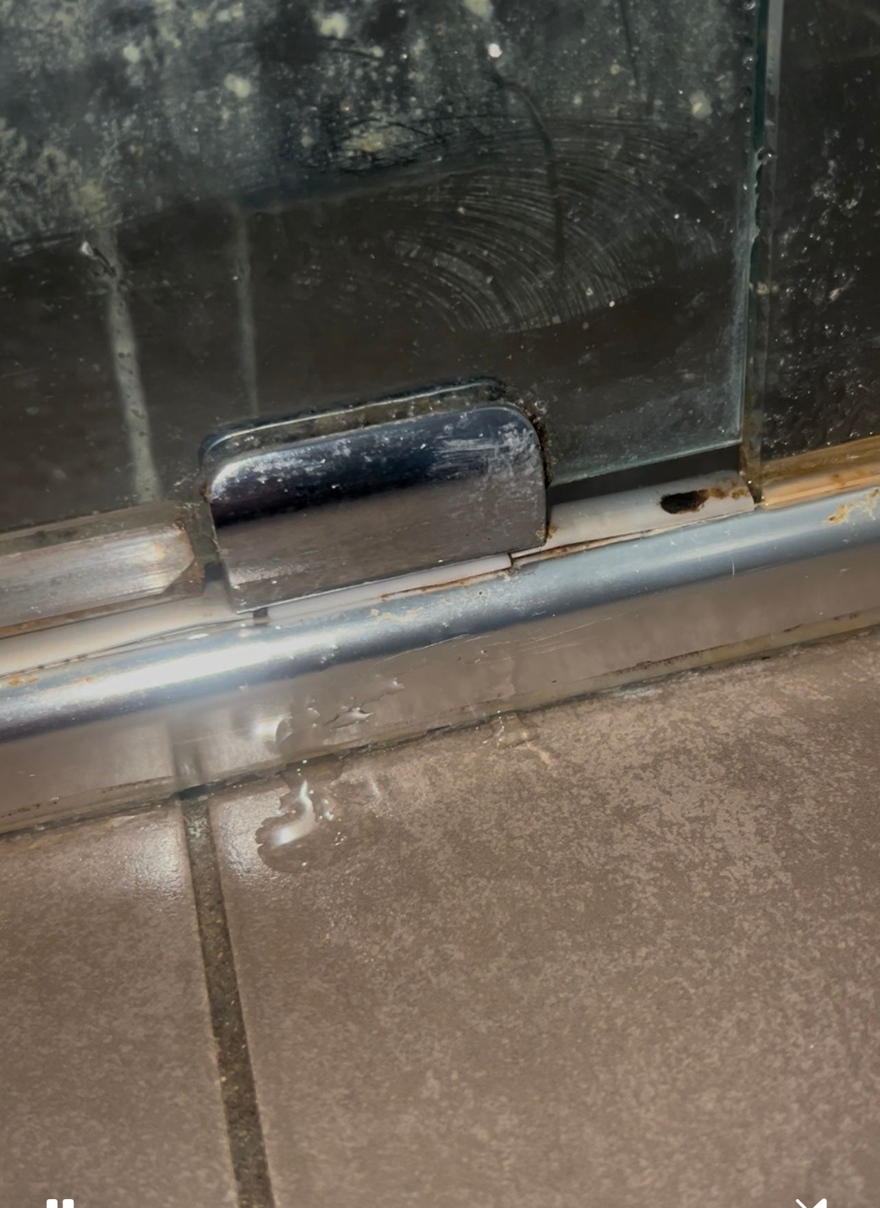 How to fix leaking shower door hinge? | Bunnings Workshop community
