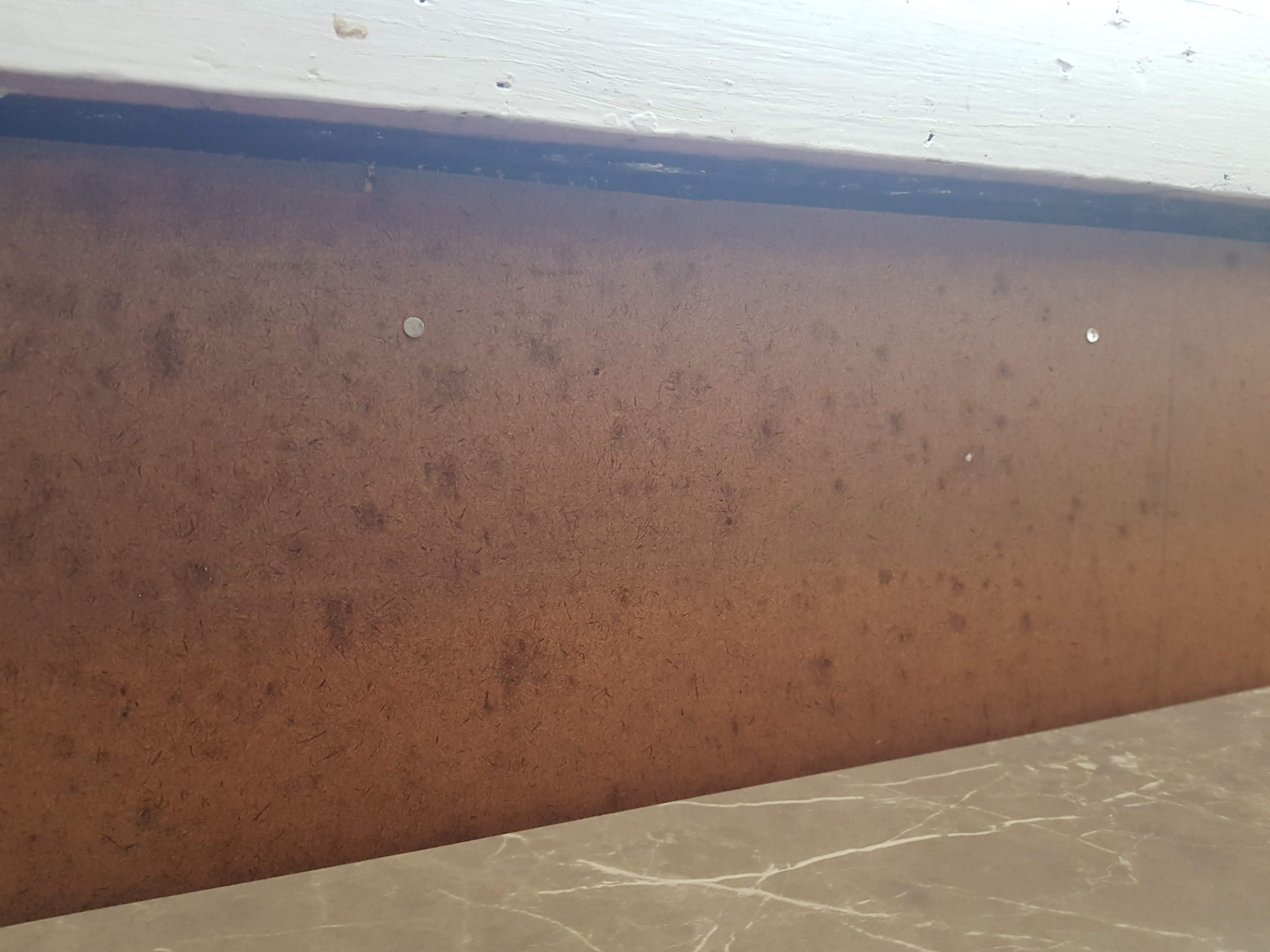 Splashback waterproofing | Bunnings Workshop community