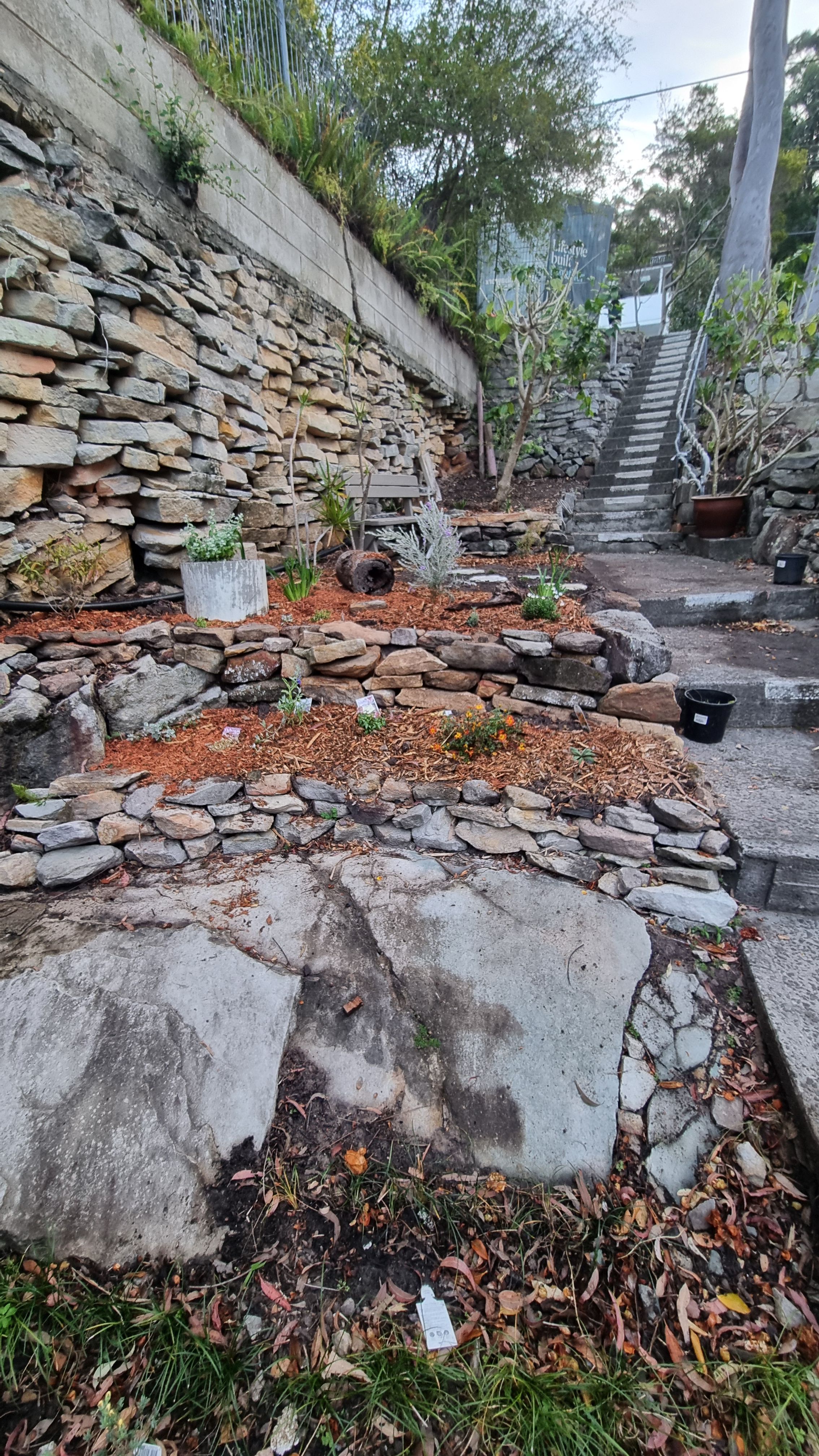 Native Australian front garden with pavi... | Bunnings Workshop community