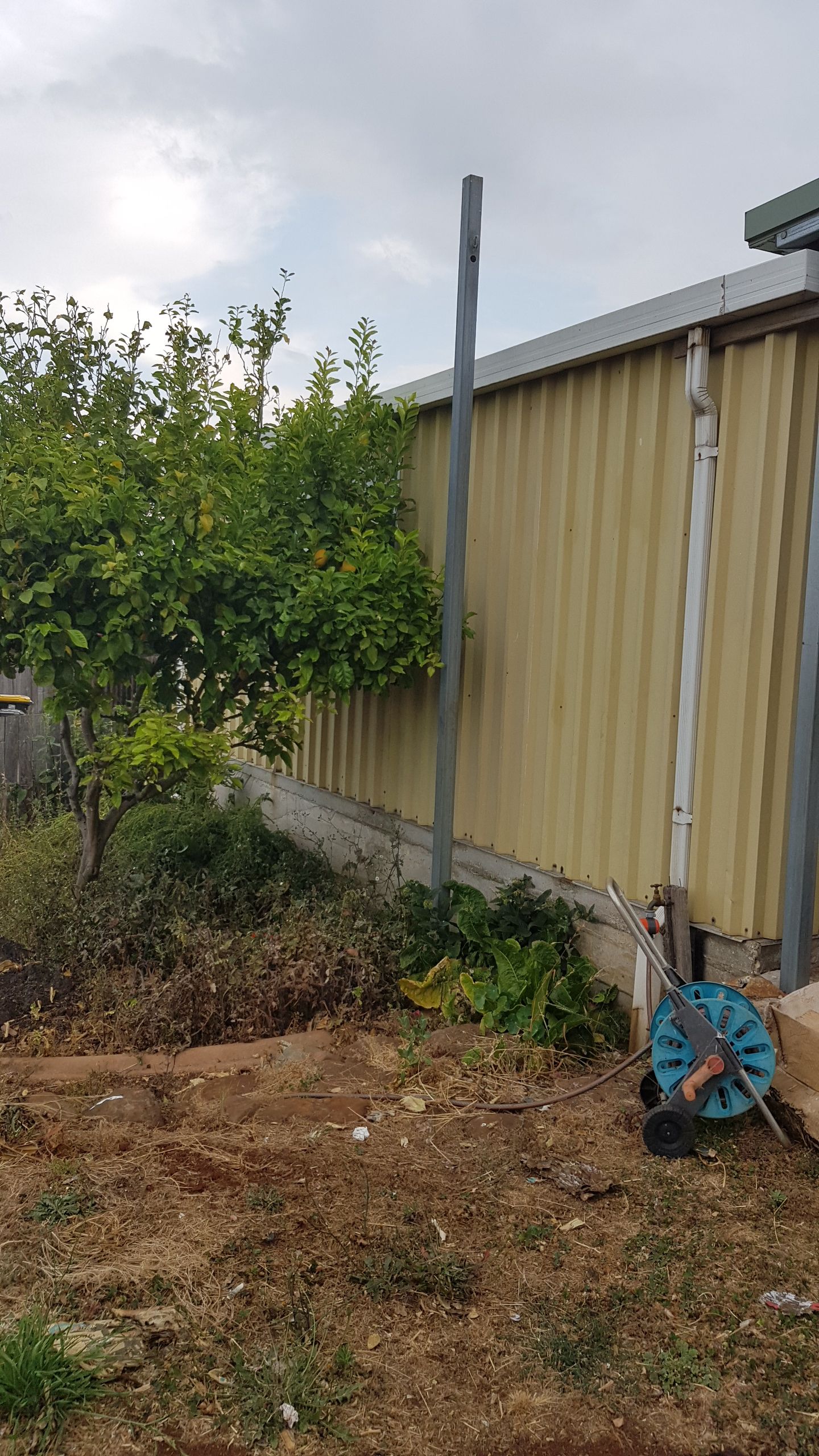 Lining Colorbond shed | Bunnings Workshop community