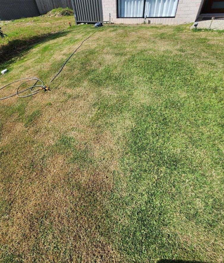How to fix bumpy uneven lawn? | Bunnings Workshop community