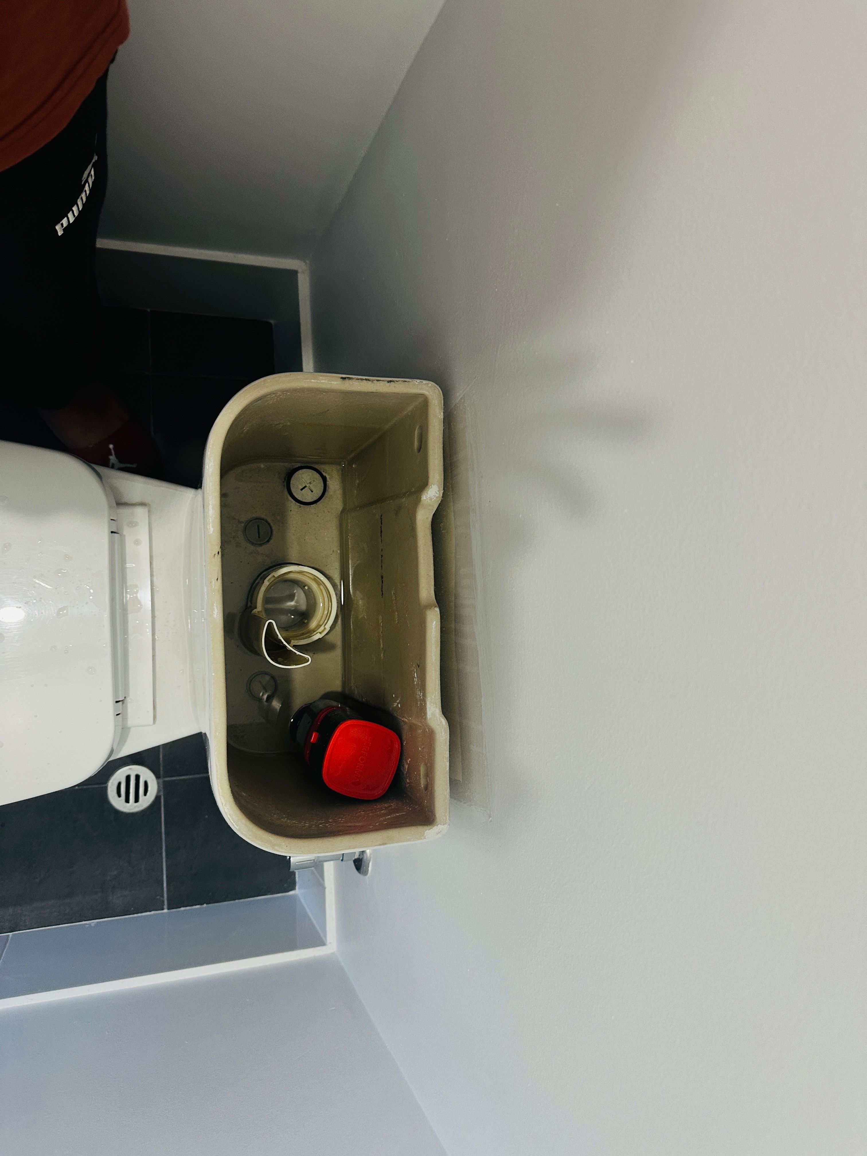 How to fix the toilet cistern leaking in... | Bunnings Workshop community