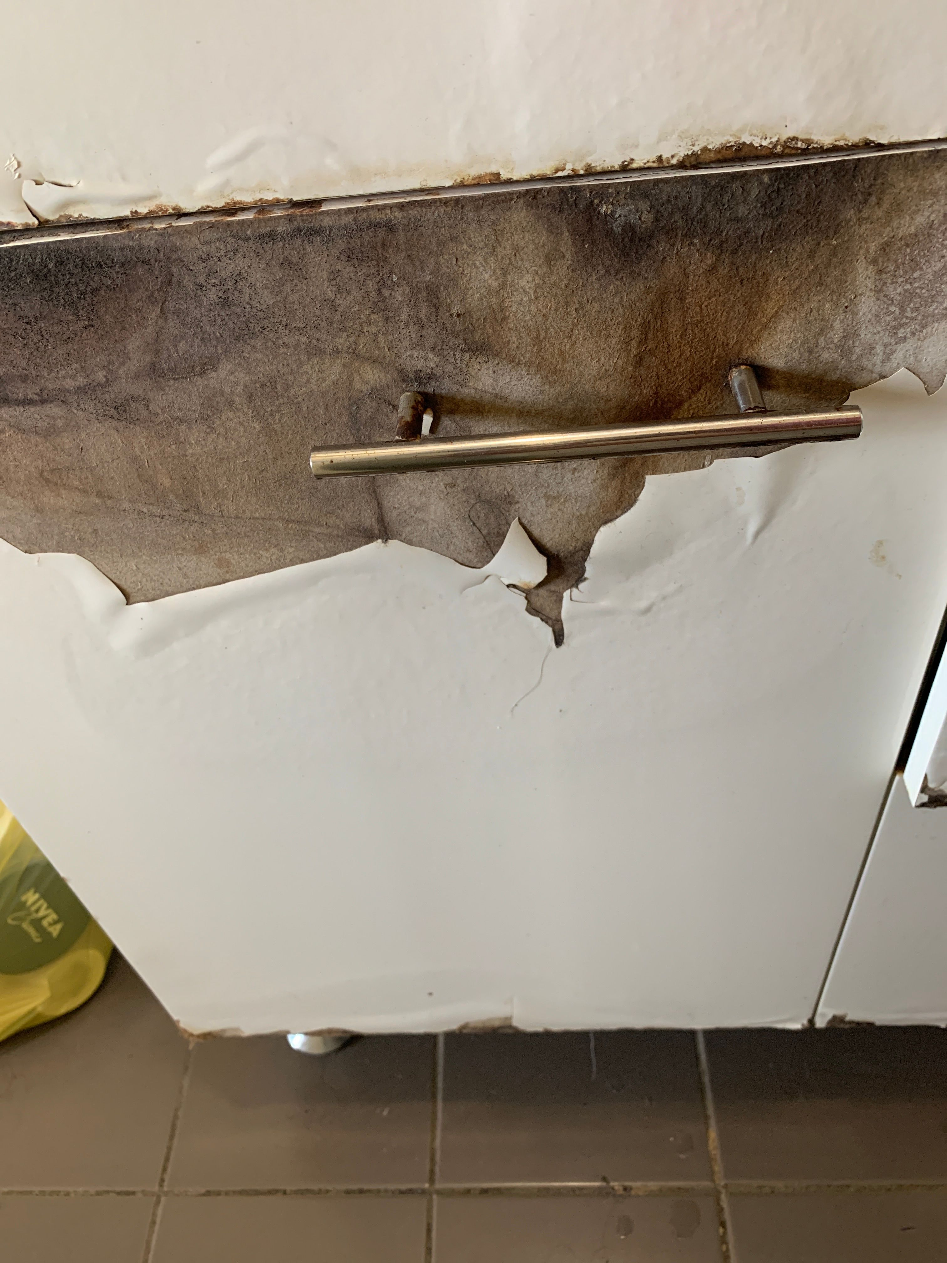 Water damaged vanity door | Bunnings Workshop community