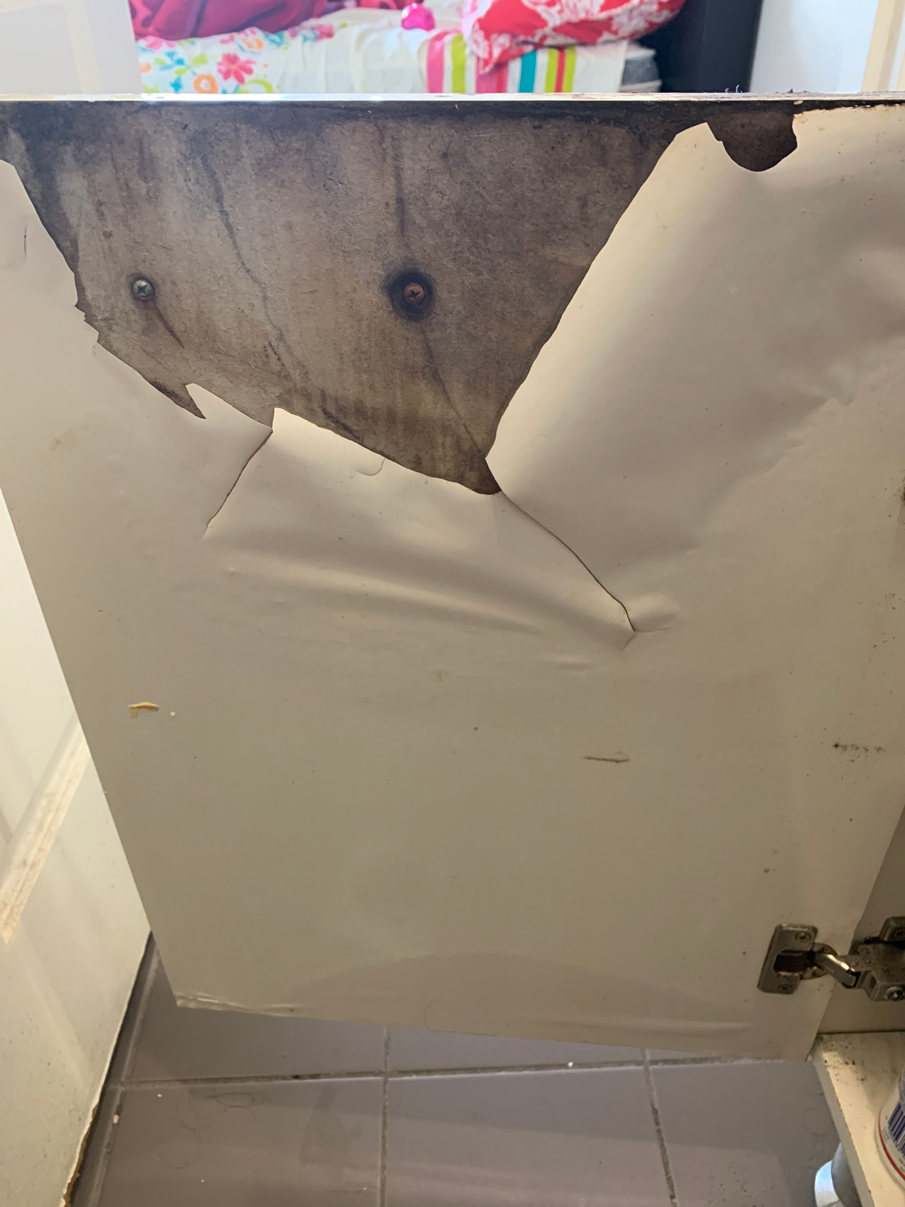 Water damaged vanity door | Bunnings Workshop community