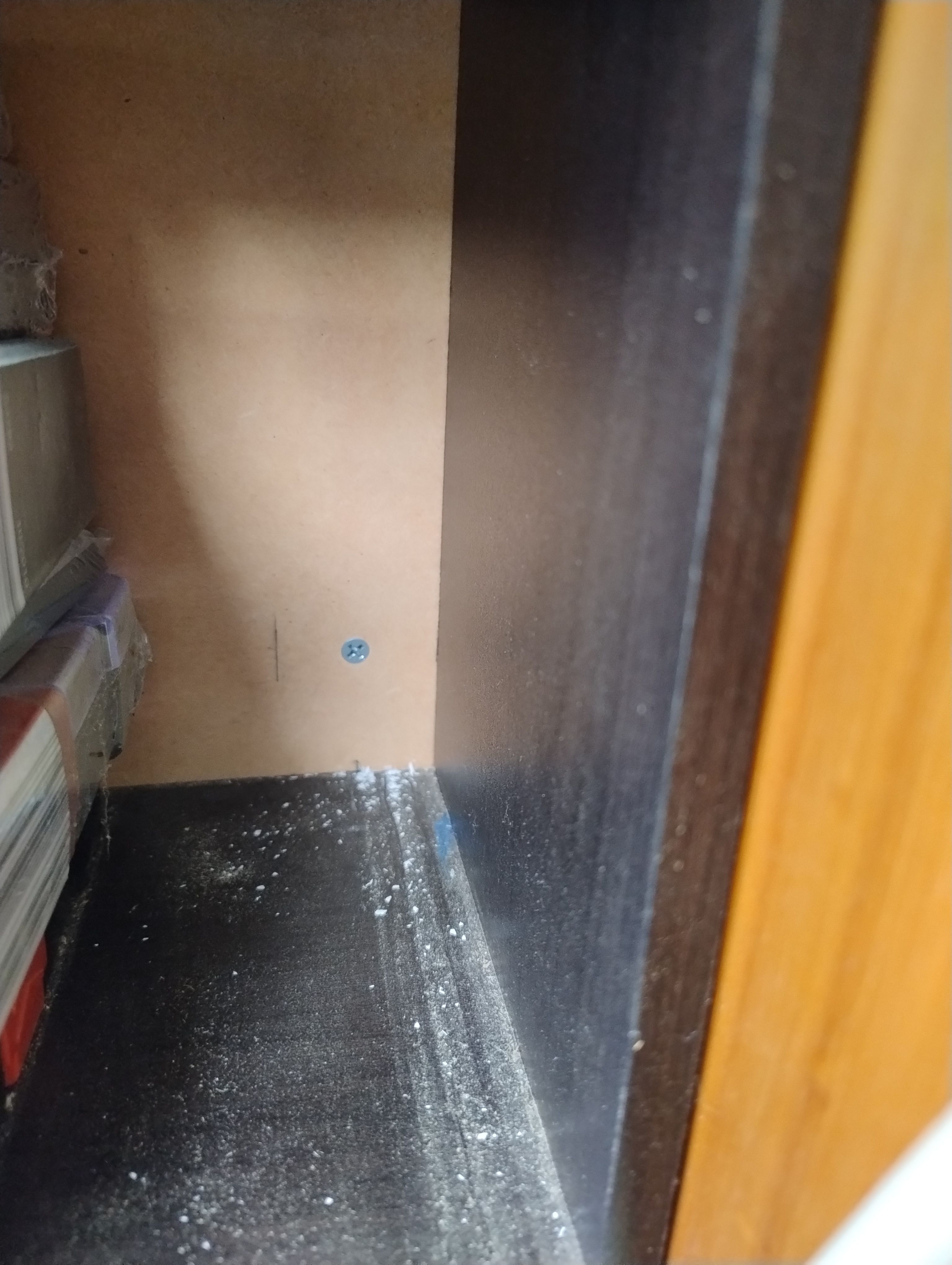 How to frame and line a shed? | Bunnings Workshop community