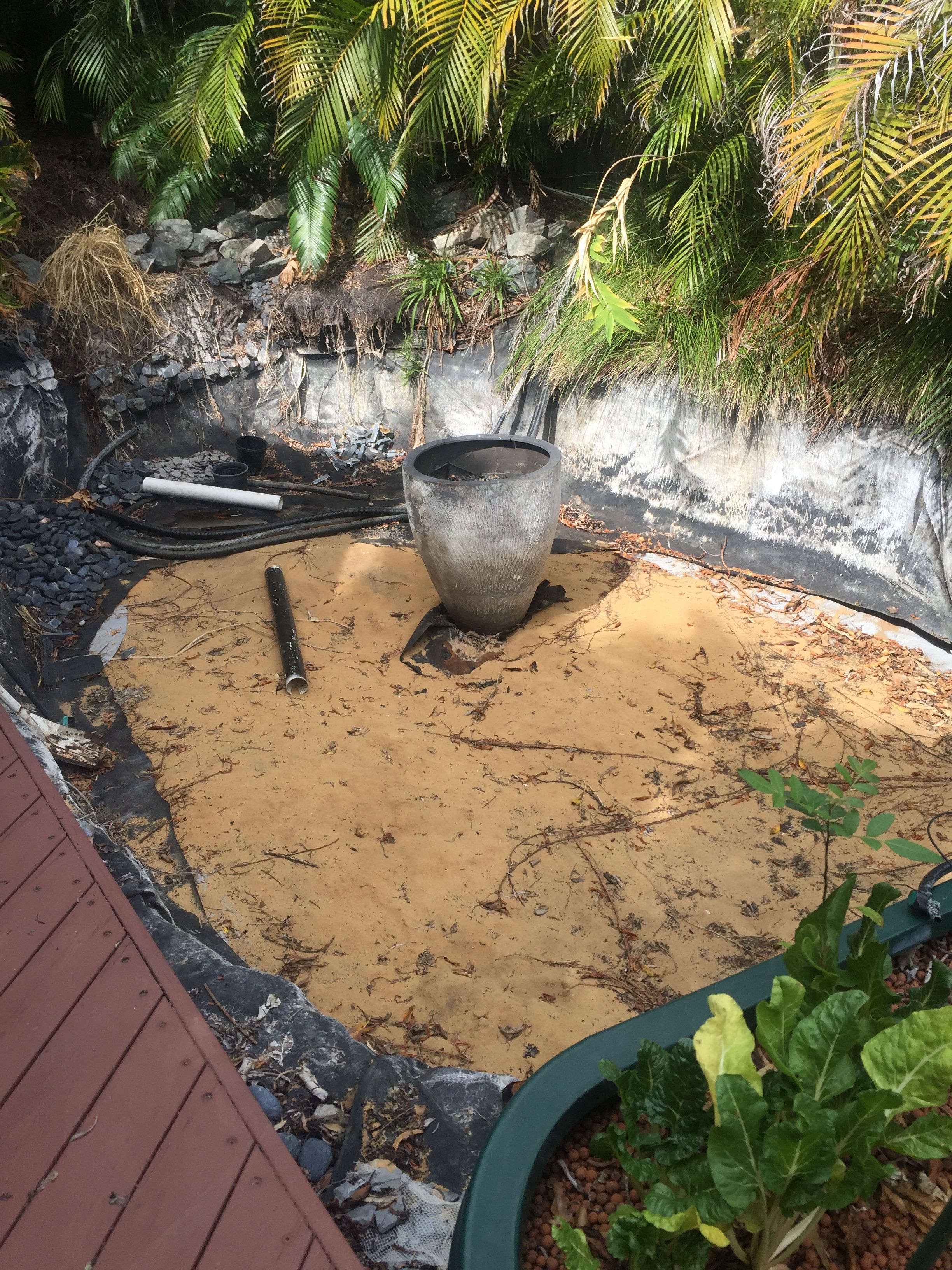 What to do with my empty pond | Bunnings Workshop community