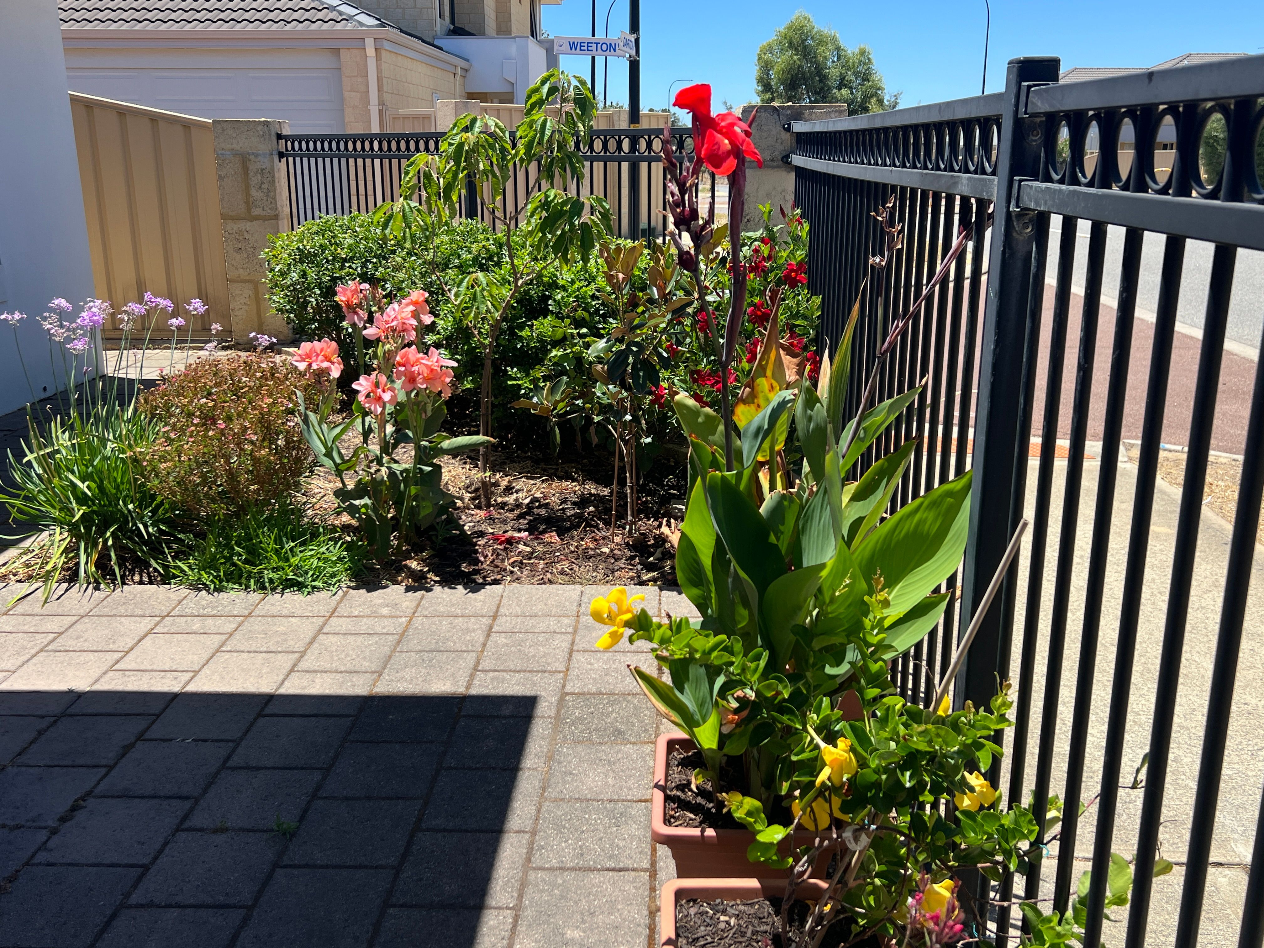 How to install a remote sprinkler system... | Bunnings Workshop community